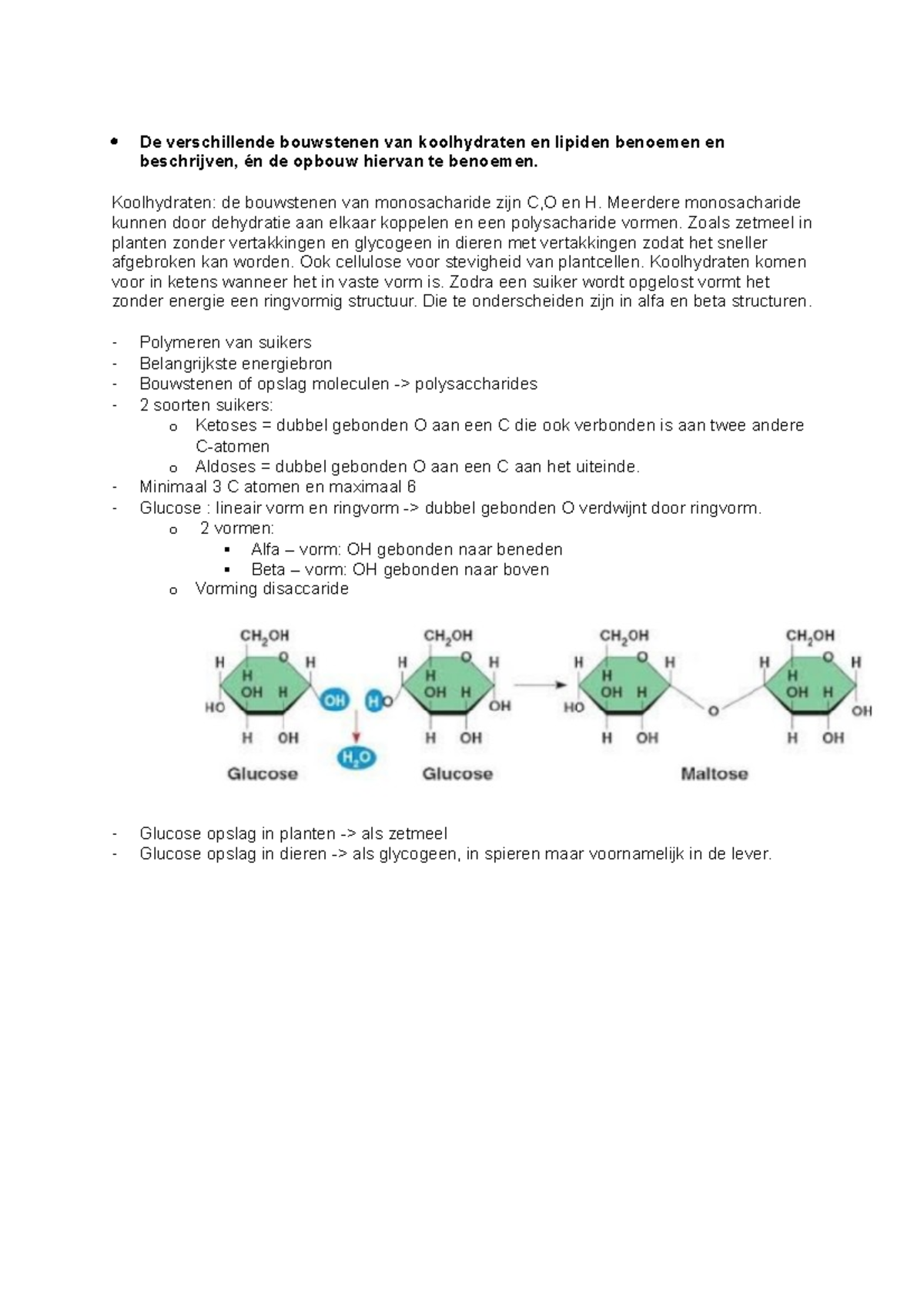 Leerdoelen Les 1: Koolhydraten en Lipiden - Structuur en Functies ...