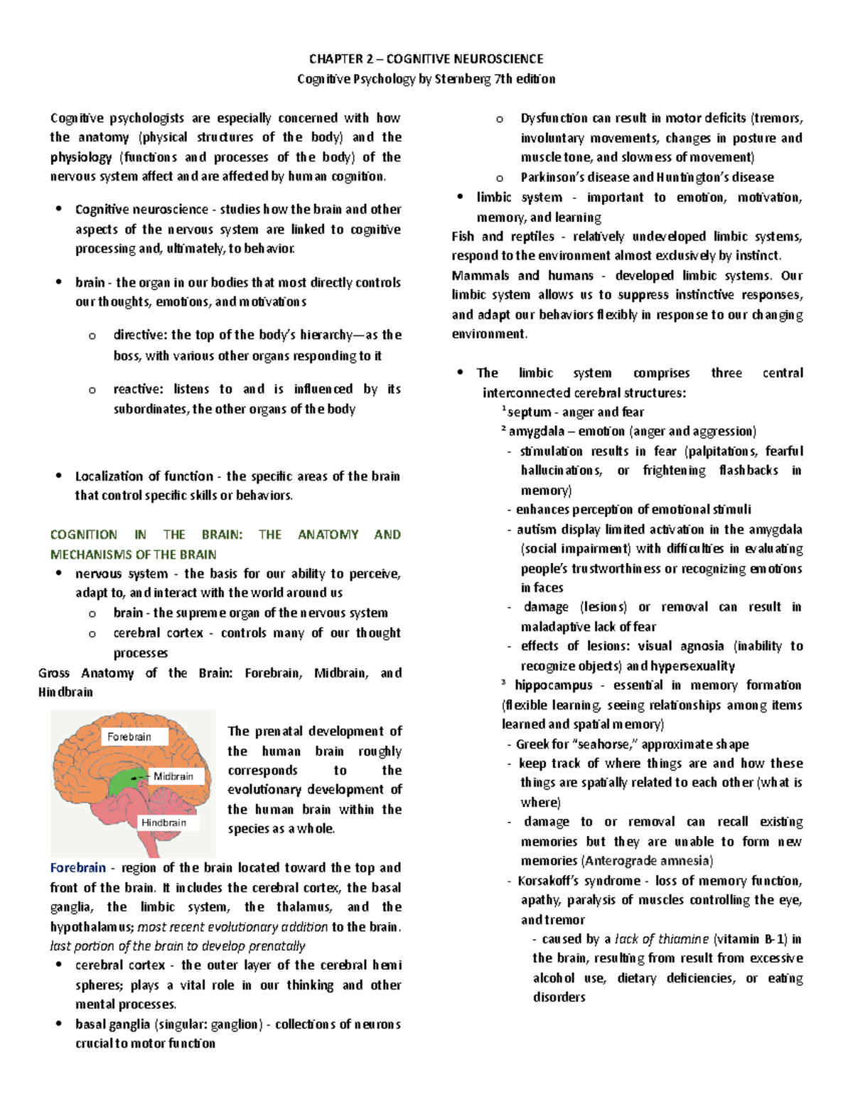 Cognitive Psychology (PSY 310) - Chapter 2: Cognitive Neuroscience ...