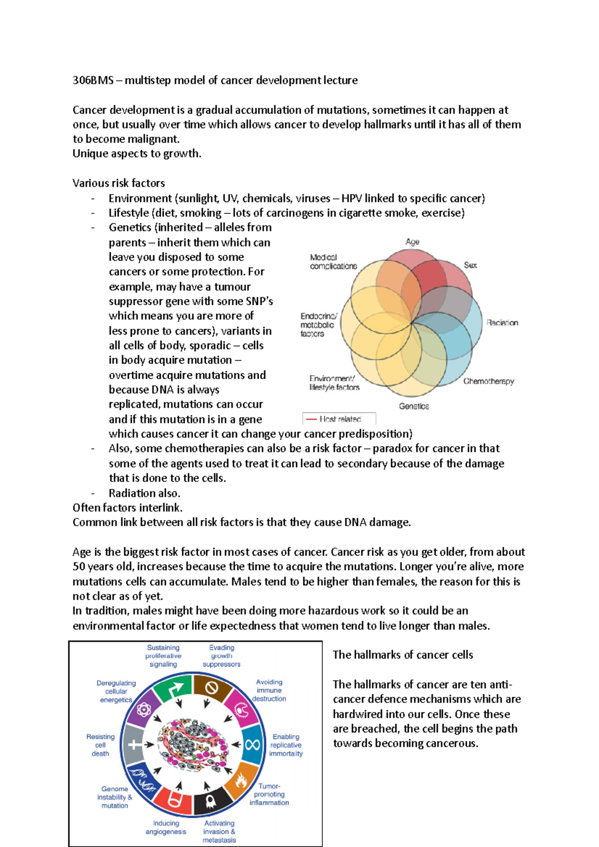 306BMS multistep model of cancer notes - 306BMS – multistep model of ...