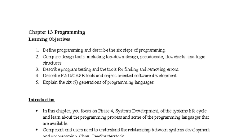 Chapter 13: Programming Fundamentals & Systems Development Life Cycle ...