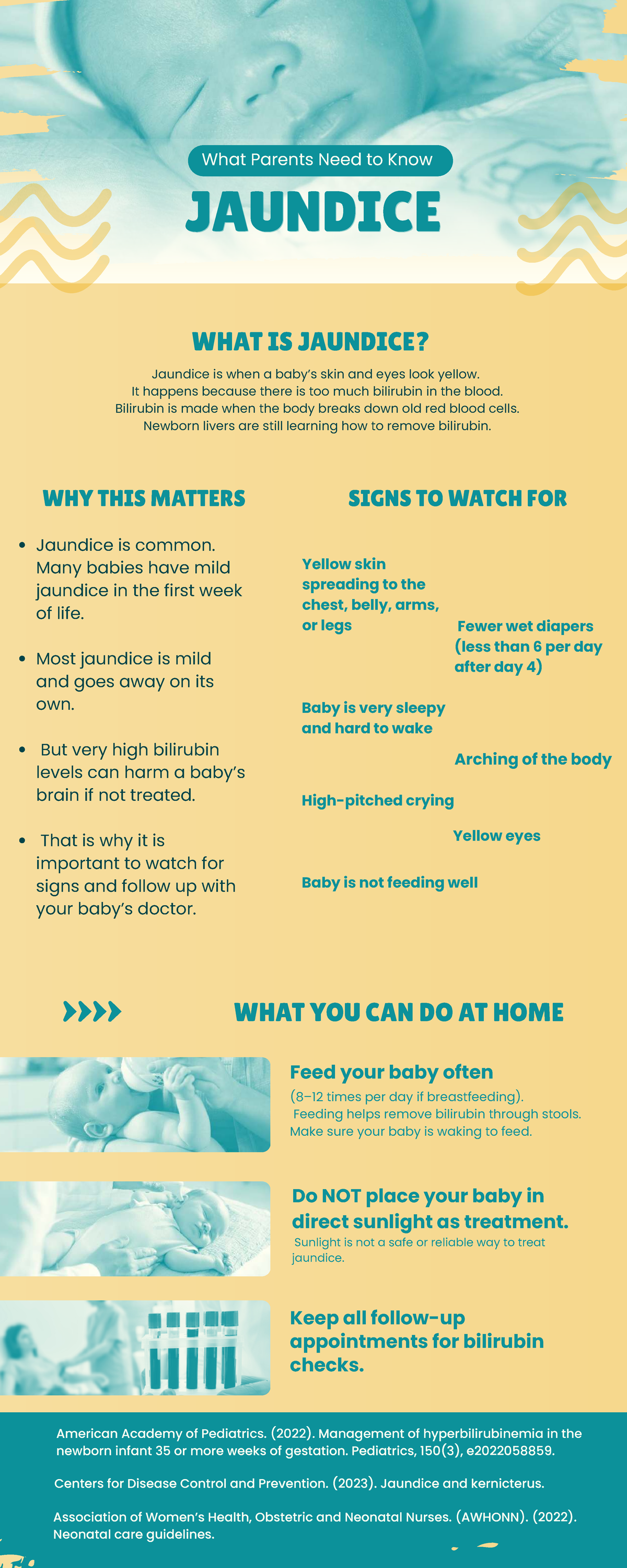Patient Education: Understanding Jaundice in Newborns - Studocu