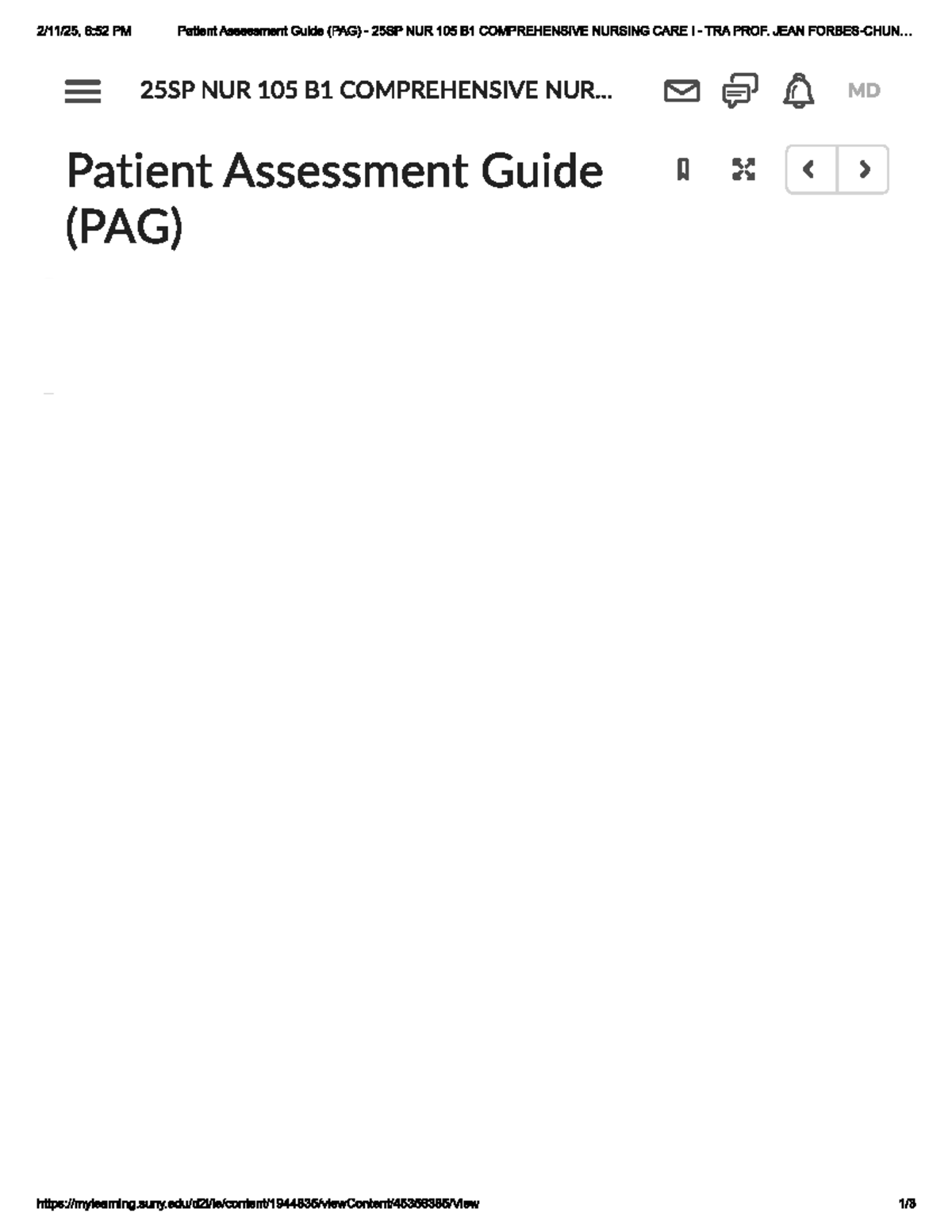 Patient Assessment Guide (PAG) 25SP NUR 105 B1 Nursing Care Template ...