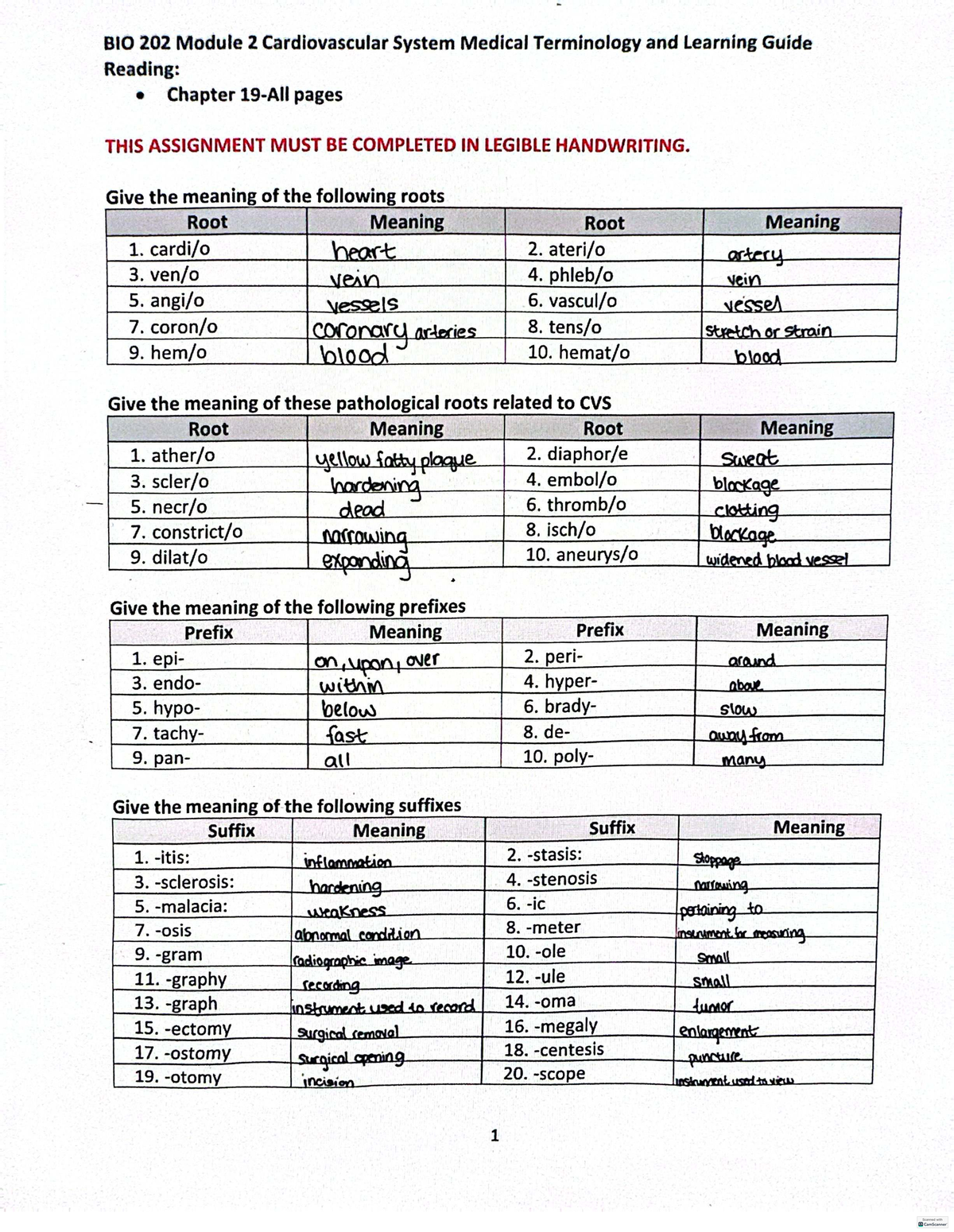 BIO 202 Module 2 Cardiovascular System Medical Terminology Learning ...