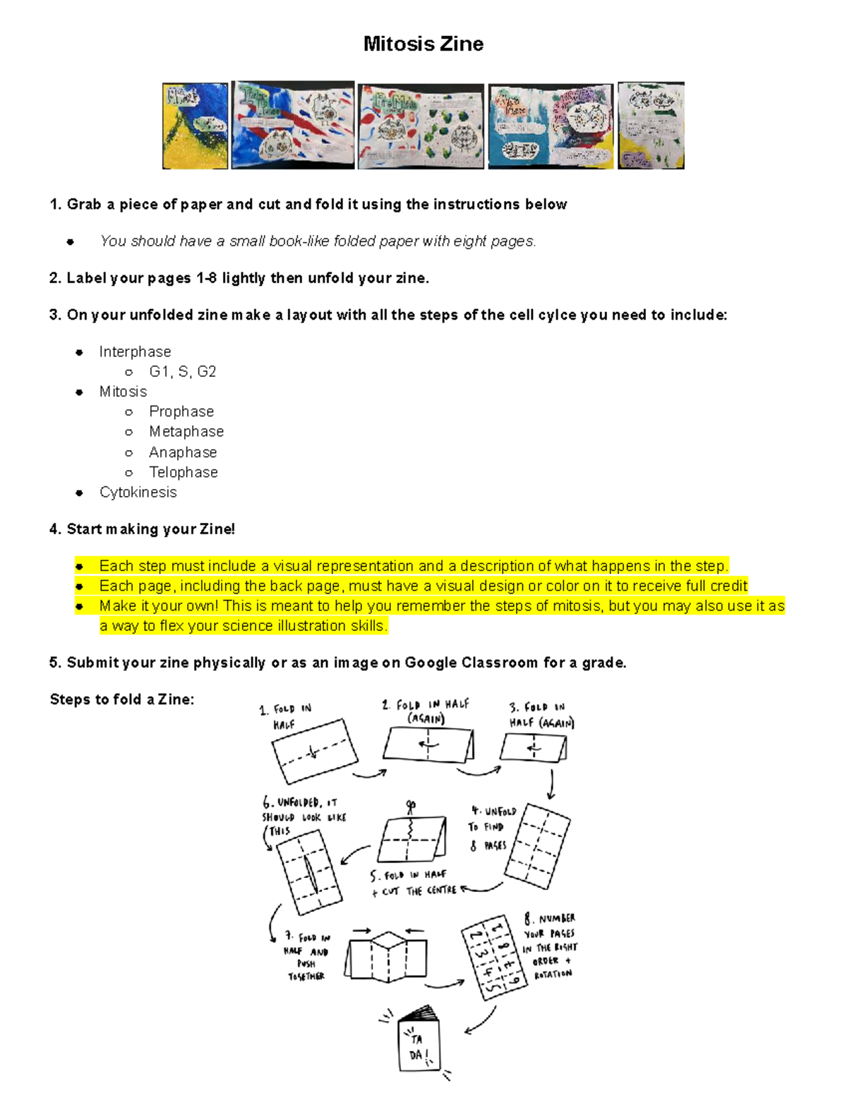 Mitosis Zine Activity Instructions for Biology Class - Mitosis Zine ...