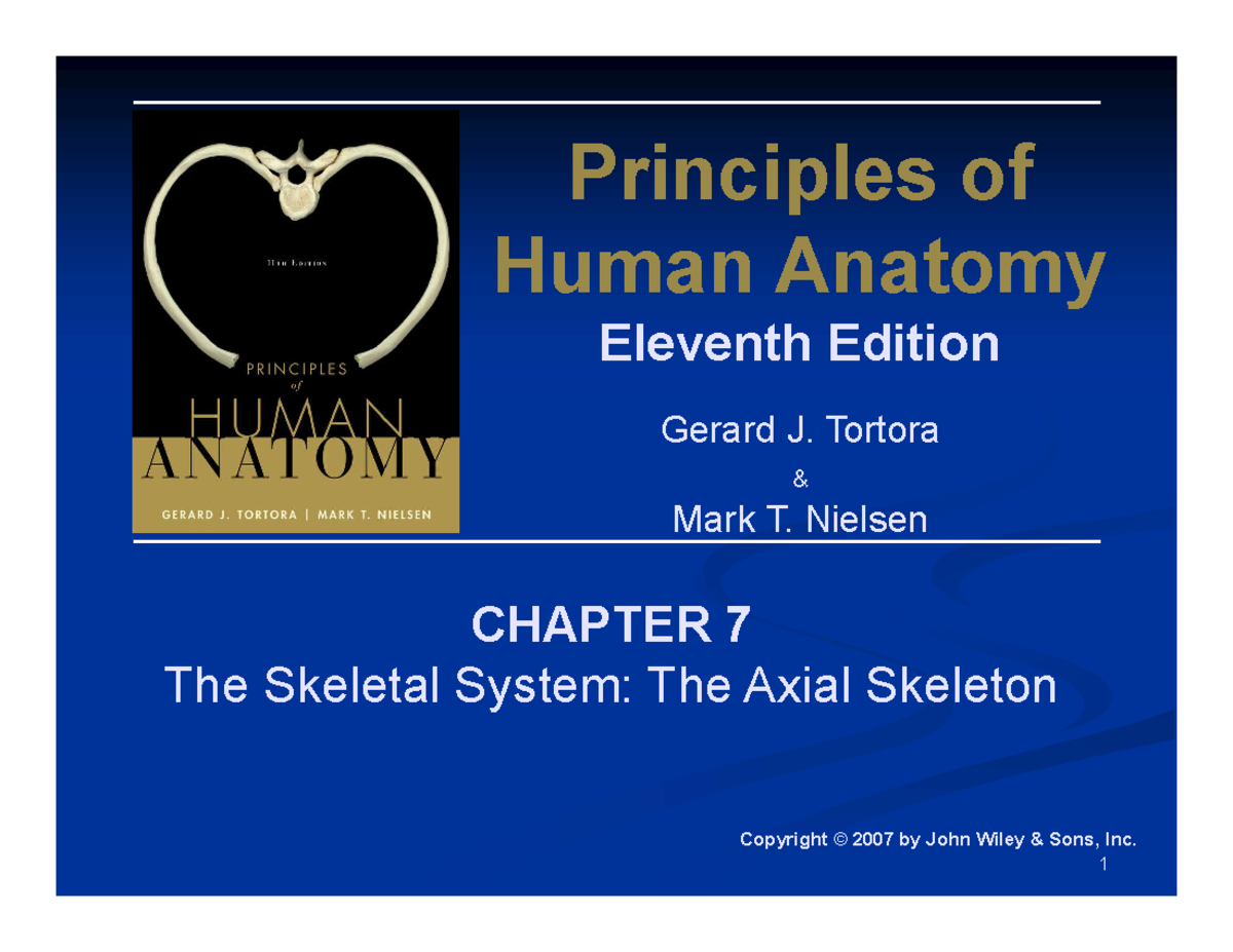Chapter 7: The Axial Skeleton Overview - Studocu