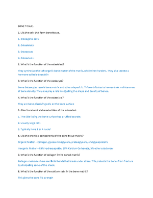 The human body-final-haps-concept-map1 - The Human Body Map Creators ...