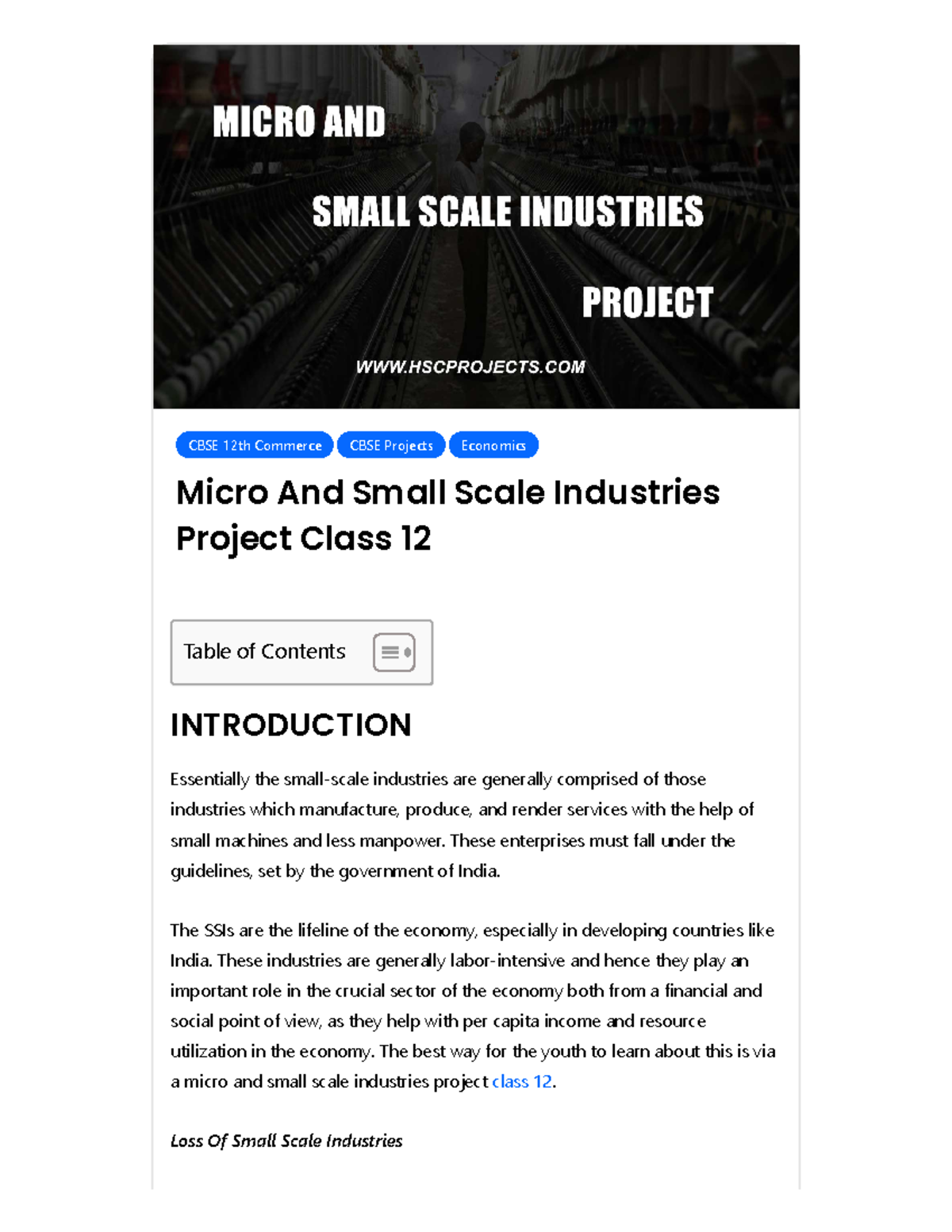 Micro and Small Scale Industries Project - Class 12 Overview - Studocu