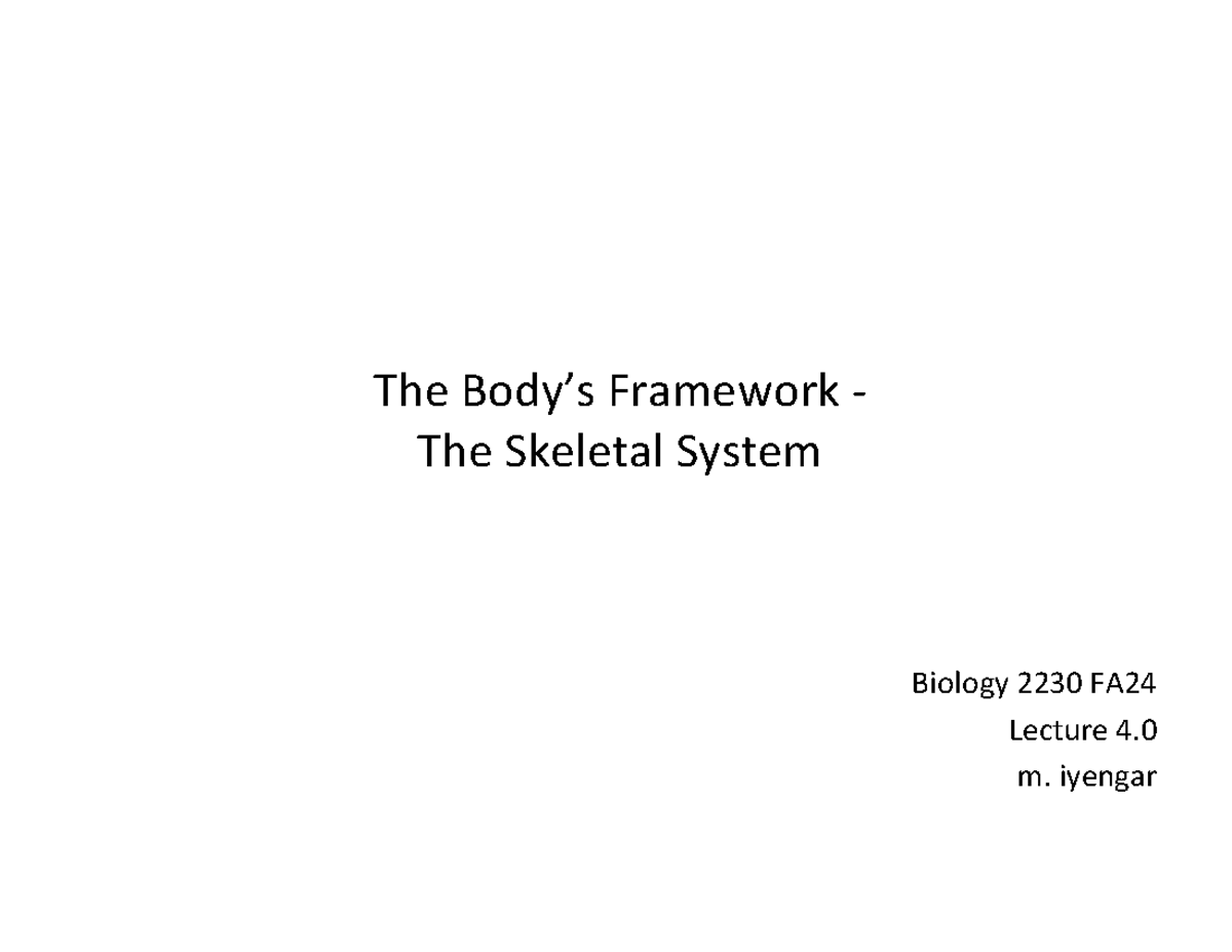 Skeletal System Overview: Anatomy, Growth & Functions (Bio 2230 FA24) - Studocu