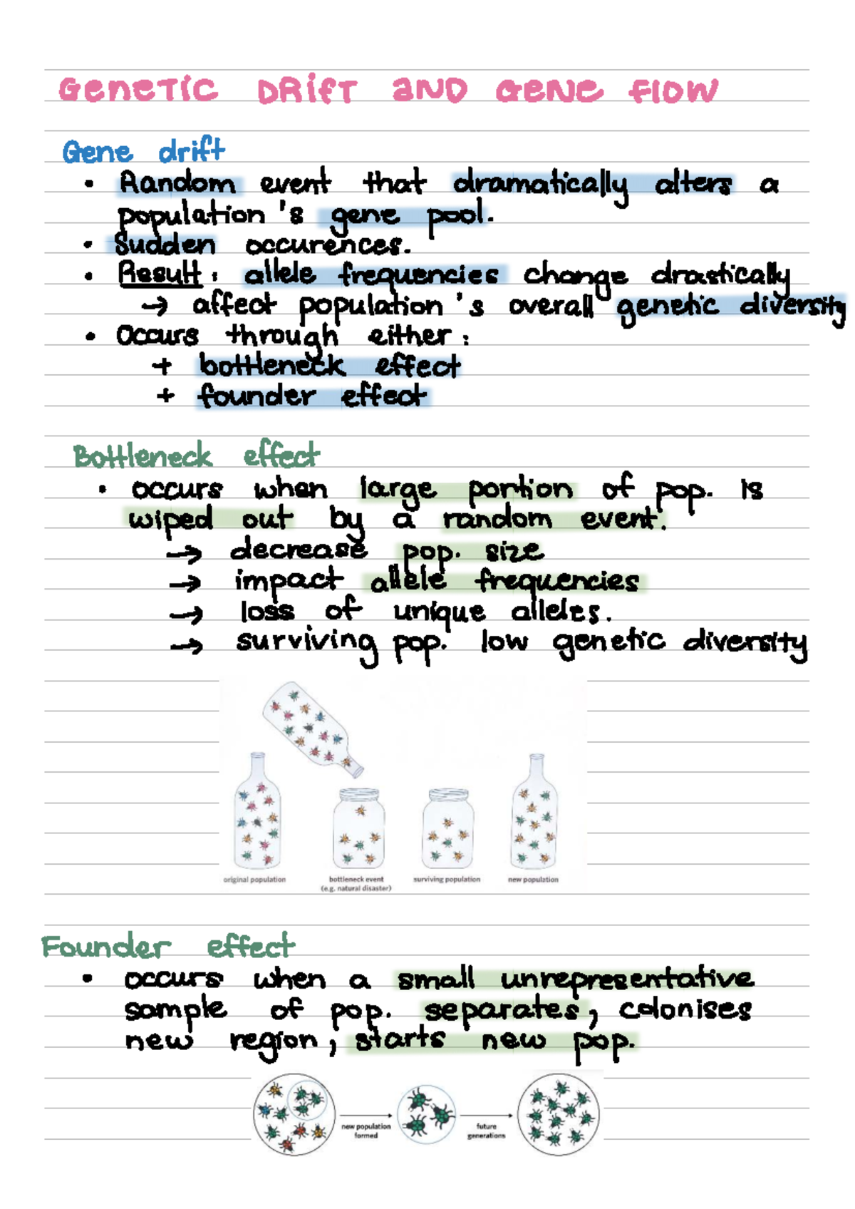 9C Genetic Drift and Gene Flow: Effects on Genetic Diversity - Studocu