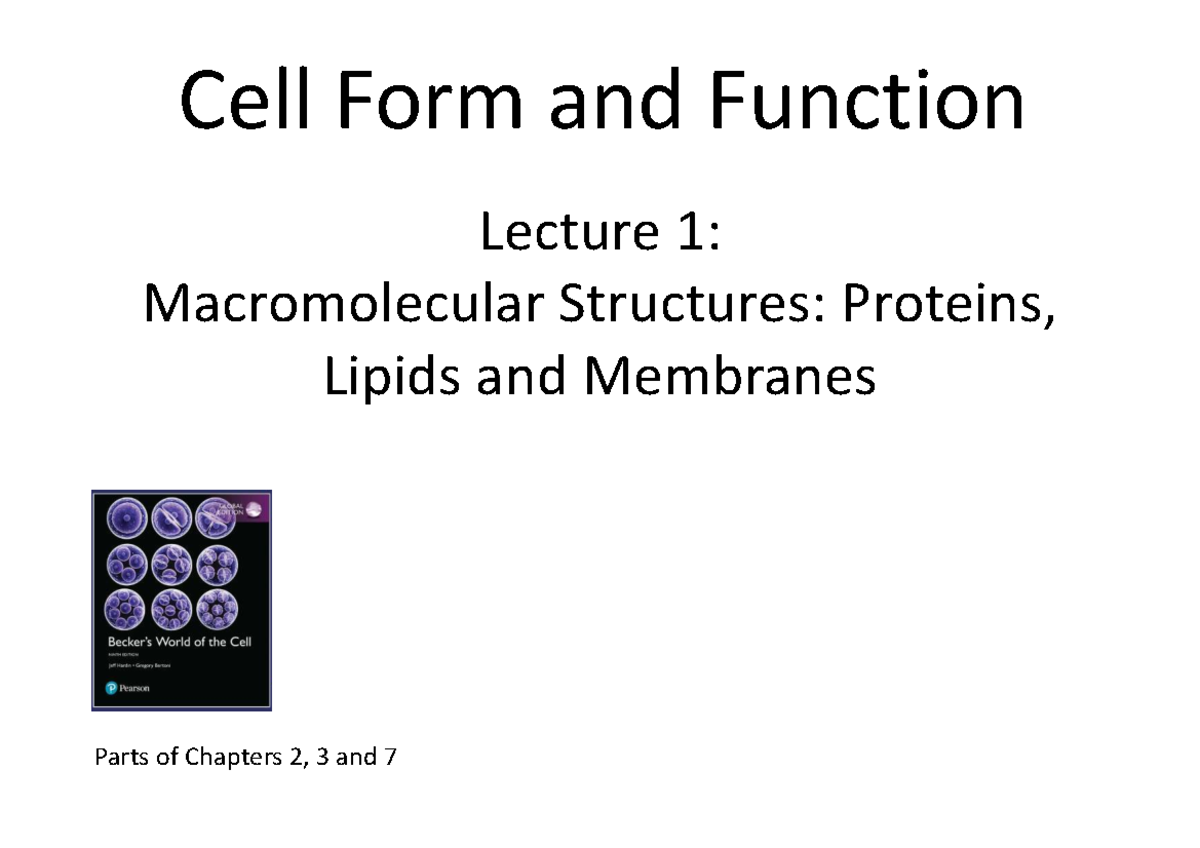 Cell Form and Function Lecture 1: Macromolecules Overview GP - Studocu