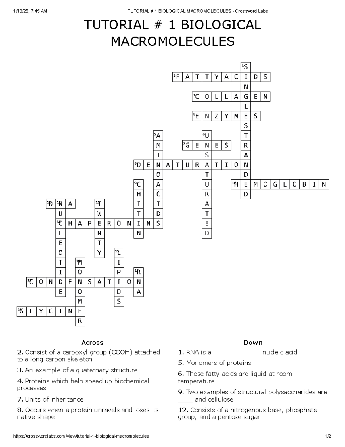 Tutorial 1: Answers for Biological Macromolecules Crossword - Studocu