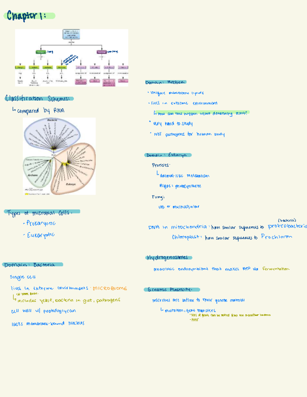 Microbiology Notes: Bacterial Growth, Structure, and Function (BIO 101 ...