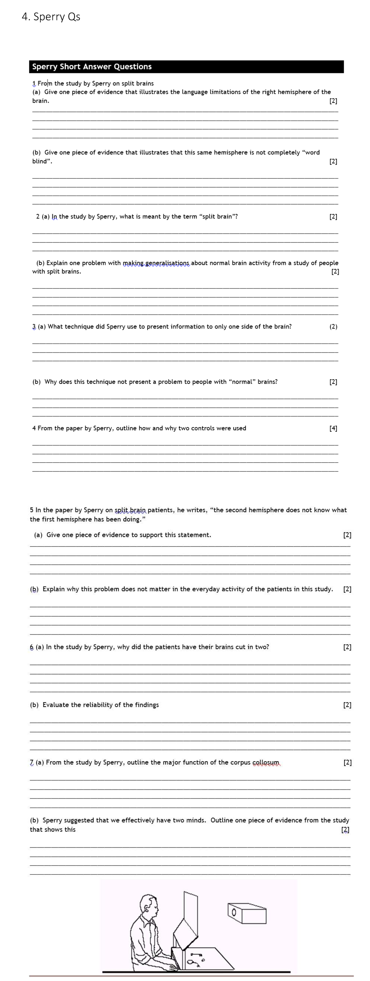 4. Sperry Qs - A Level Psychology Short Answer Questions - Studocu
