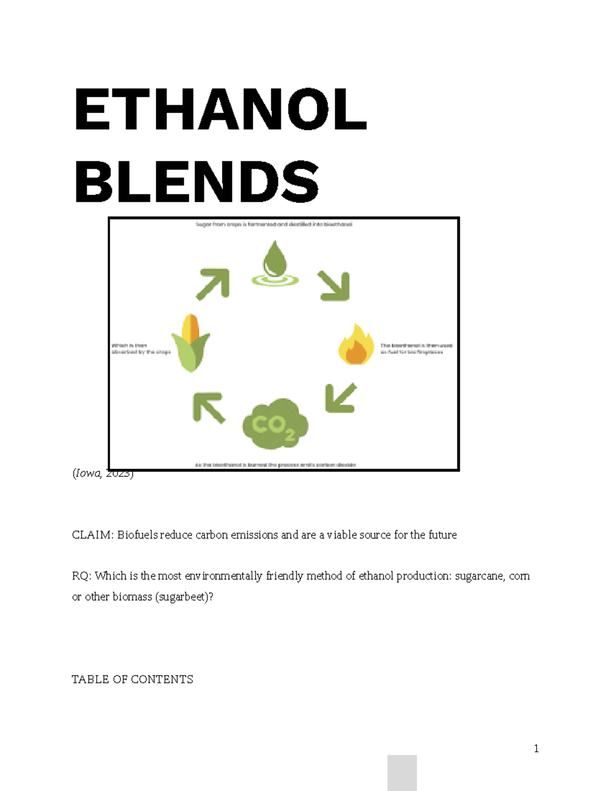 CHEM IA3 Final Research Investigation on Ethanol Production Methods ...