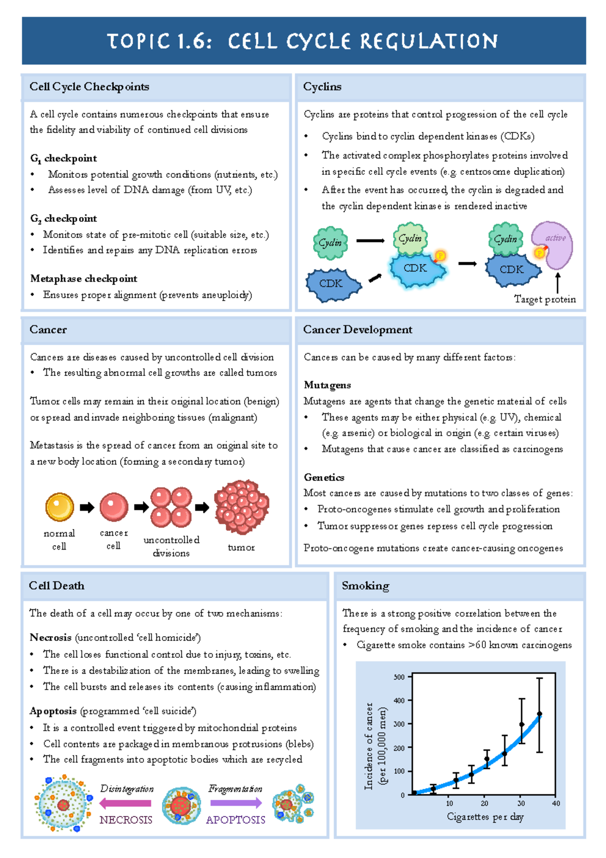 1.6 Cell Cycle Regulation: Checkpoints, Cancer, and Cell Death Insights ...