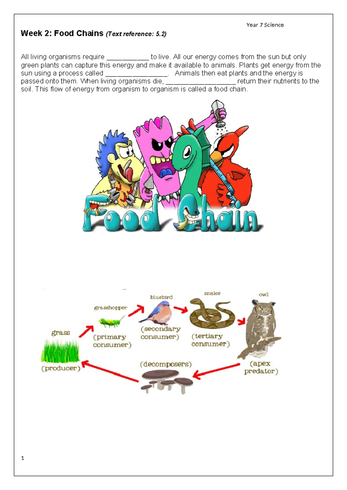 Year 7 Science: Food Chains, Food Webs & Ecosystem Dynamics Worksheet ...
