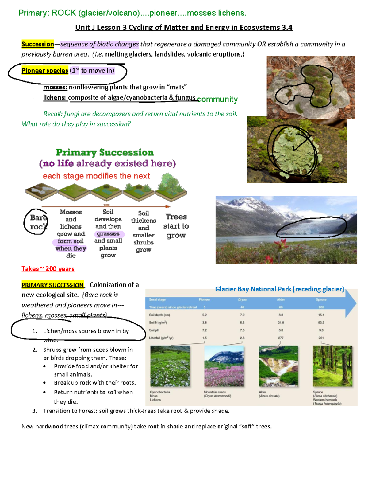 ECOS 3.4: Cycling of Matter and Energy in Ecosystems and Succession ...