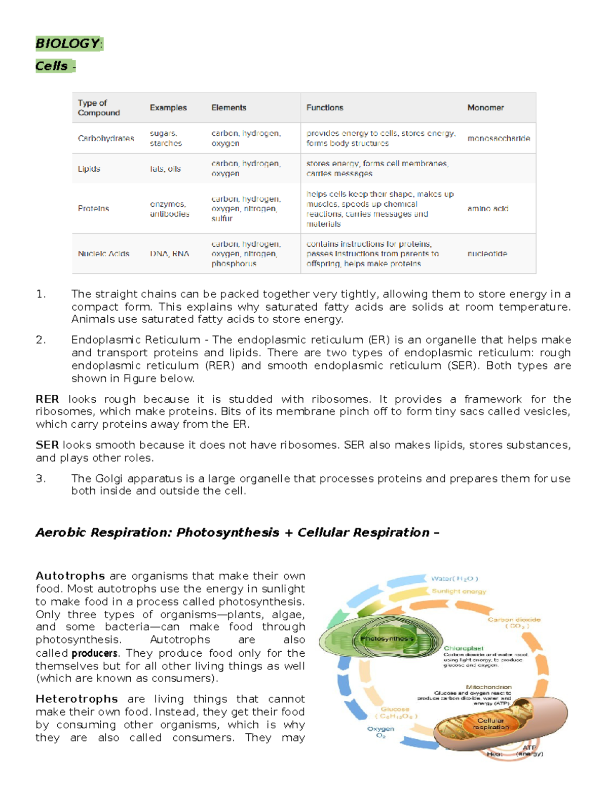 BIOLOGY: Cellular Processes and Organelles Overview - Studocu
