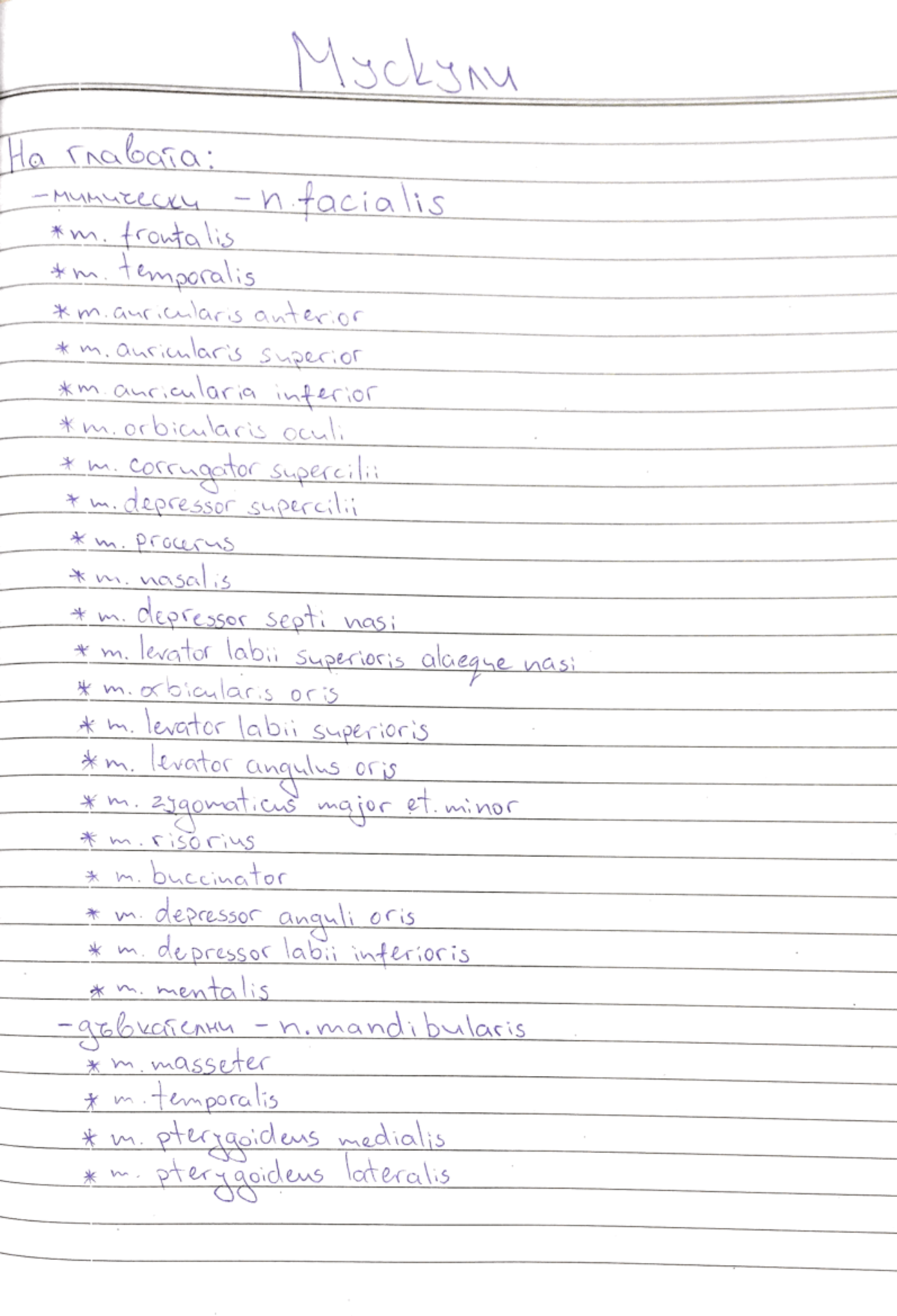 All-muscles-checklist - Human Anatomy and Histology - Studocu