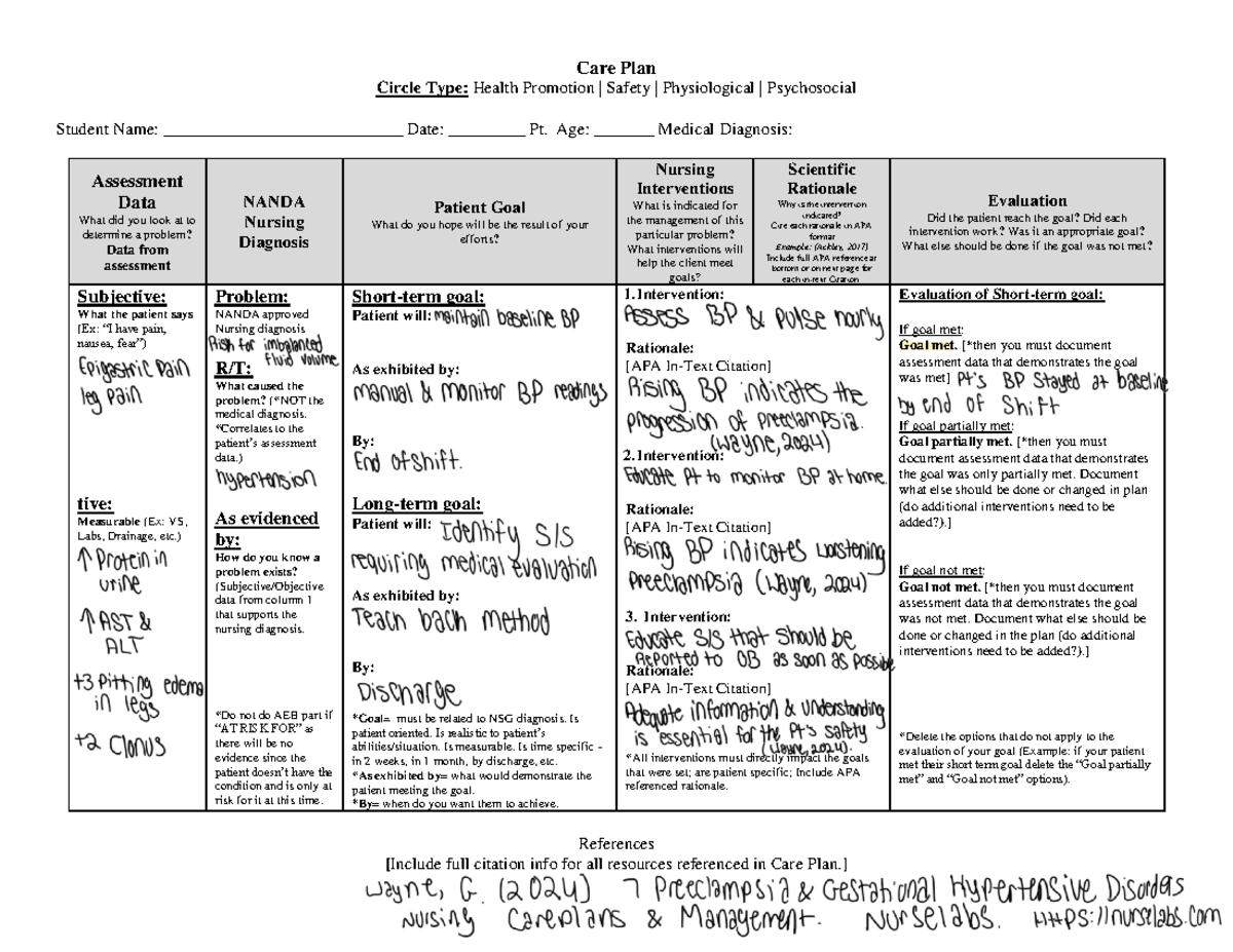 Care Plan Template for Nursing Students: Key Components & Goals - Studocu