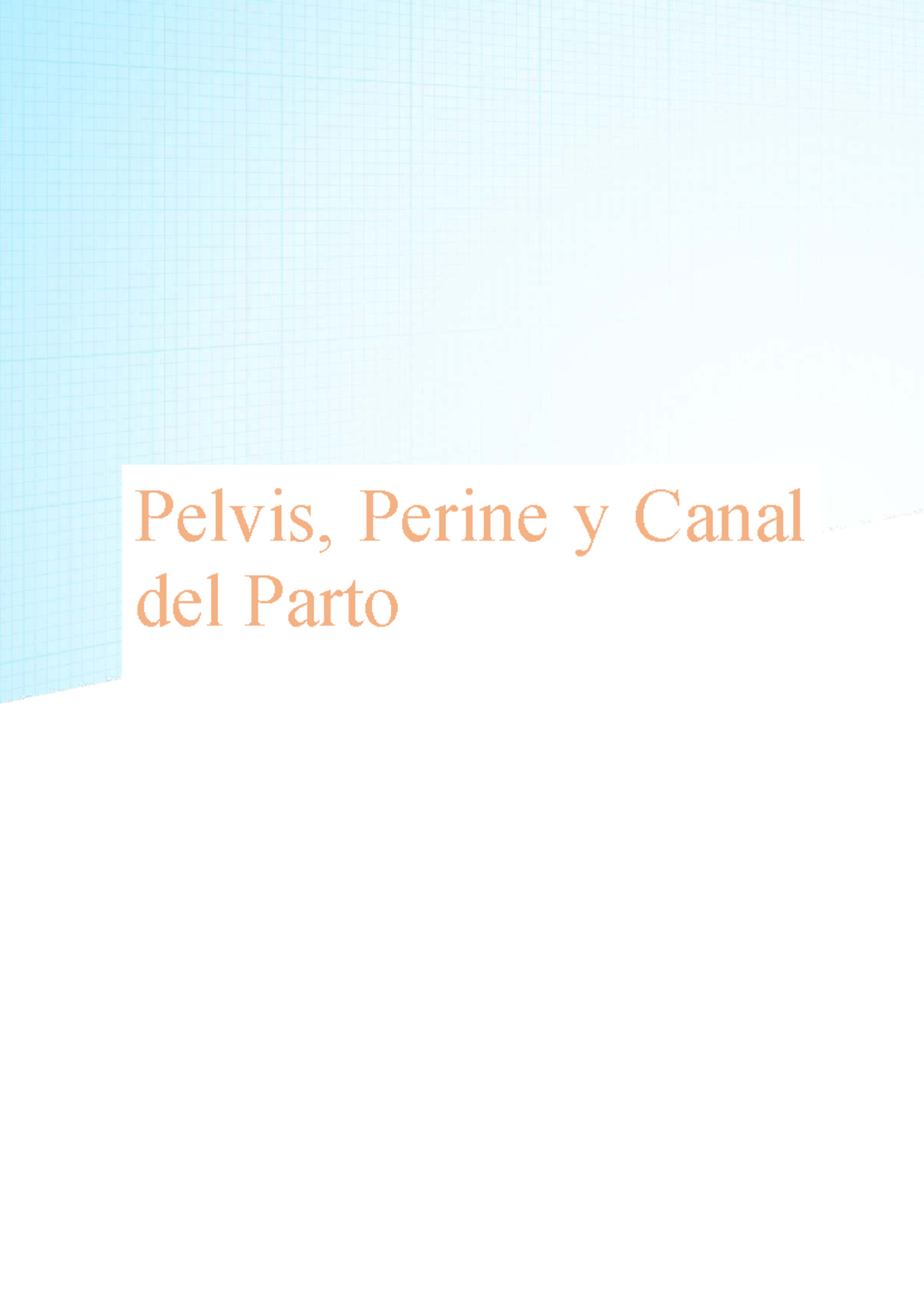 Pelvis, Perine y Canal del Parto: Anatomía y Funciones - Studocu