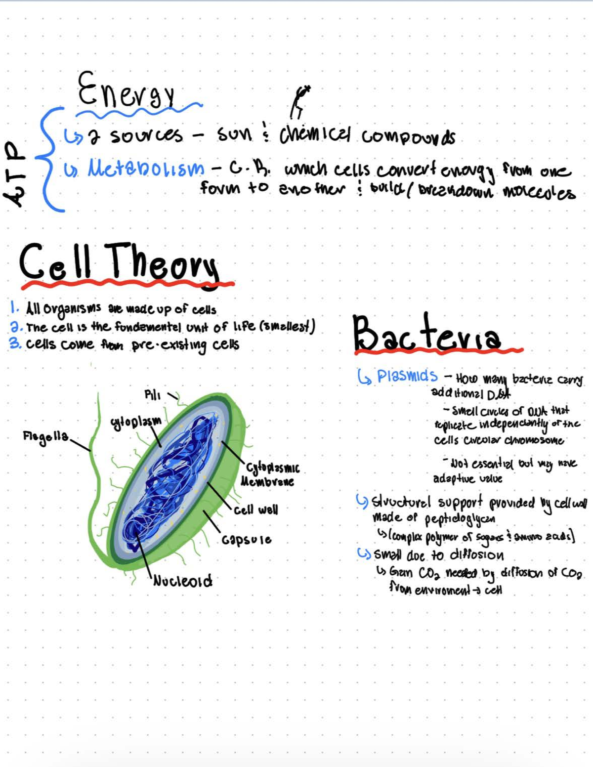 Biology 112 - Lecture Notes on Energy Sources and Cell Theory - Studocu