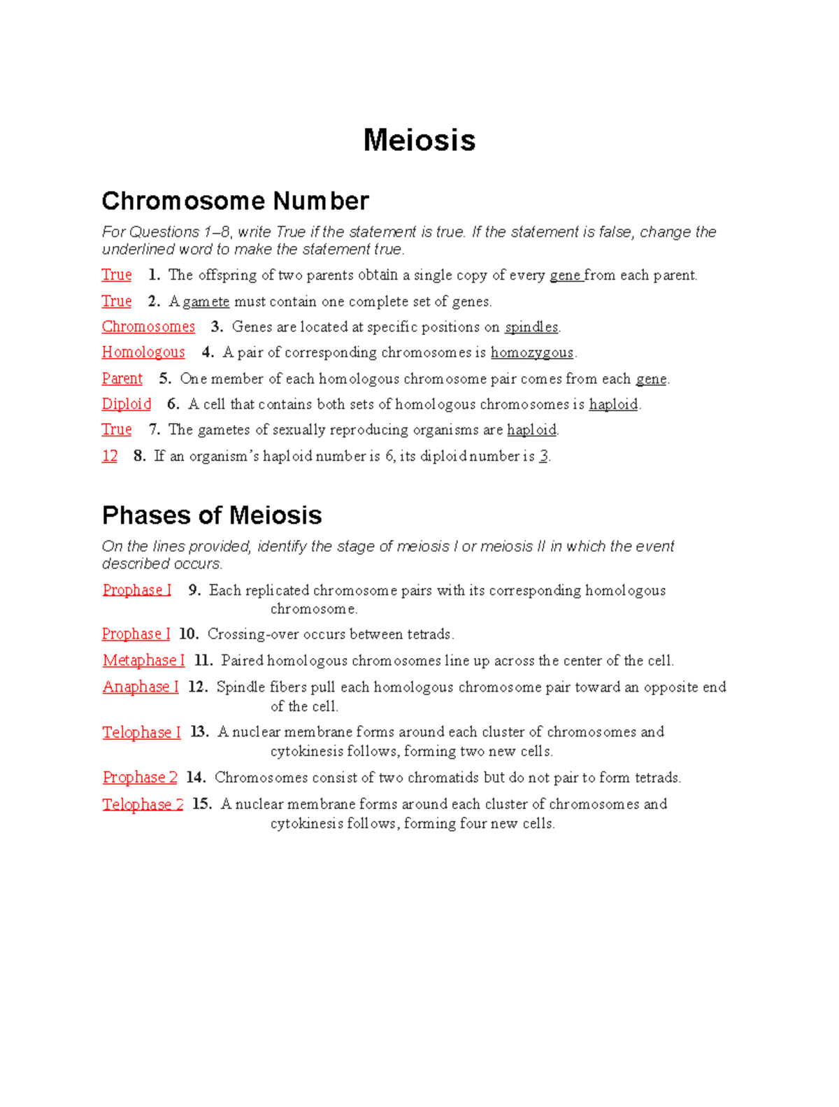 Meiosis Worksheet Mr Reece - Meiosis Chromosome Number For Questions 1 ...