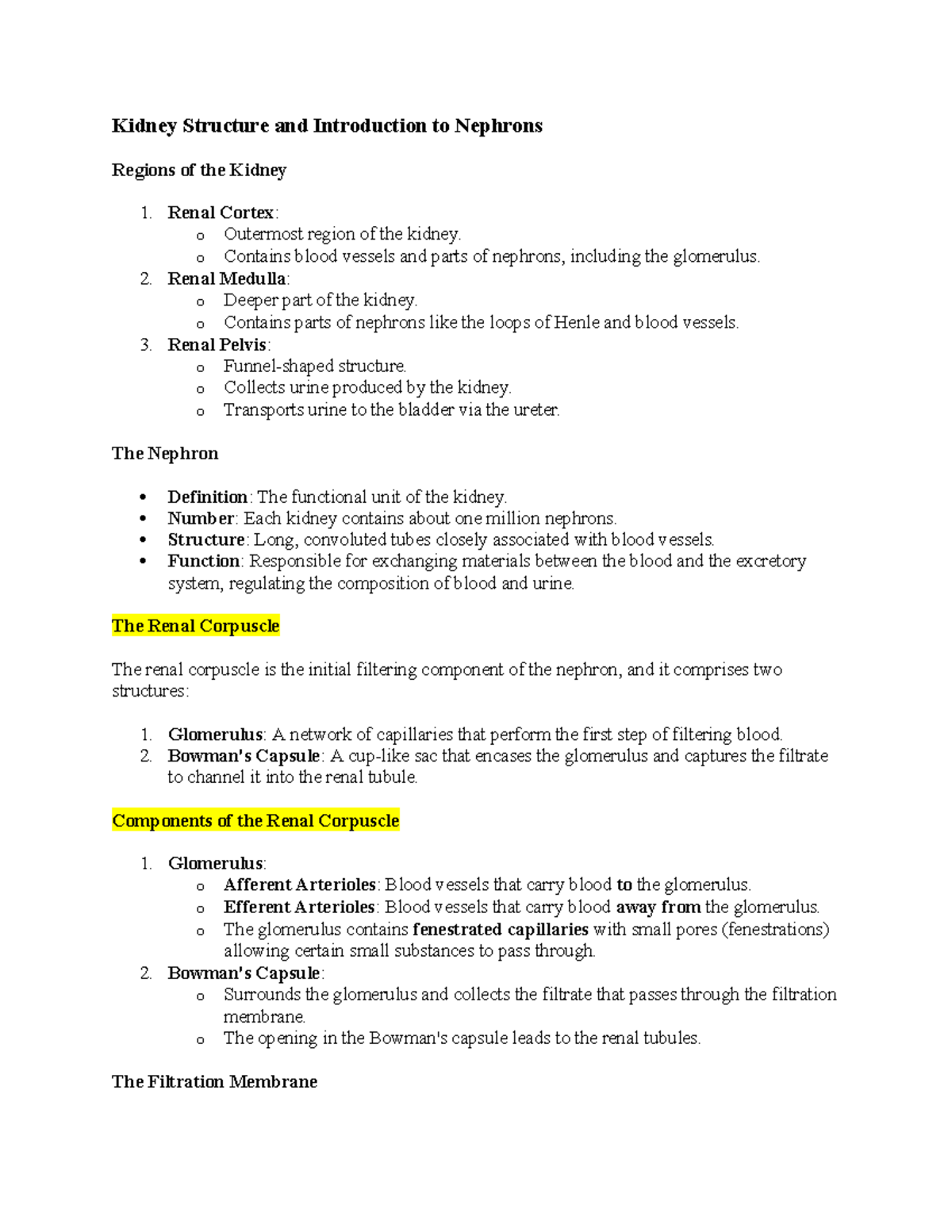 Kidney Structure and Nephrons Overview (Biol 301 Lecture Notes) - Studocu