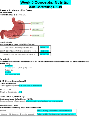 NR293 Active Learning Activity Medication Concept Map Janelle Lebron ...