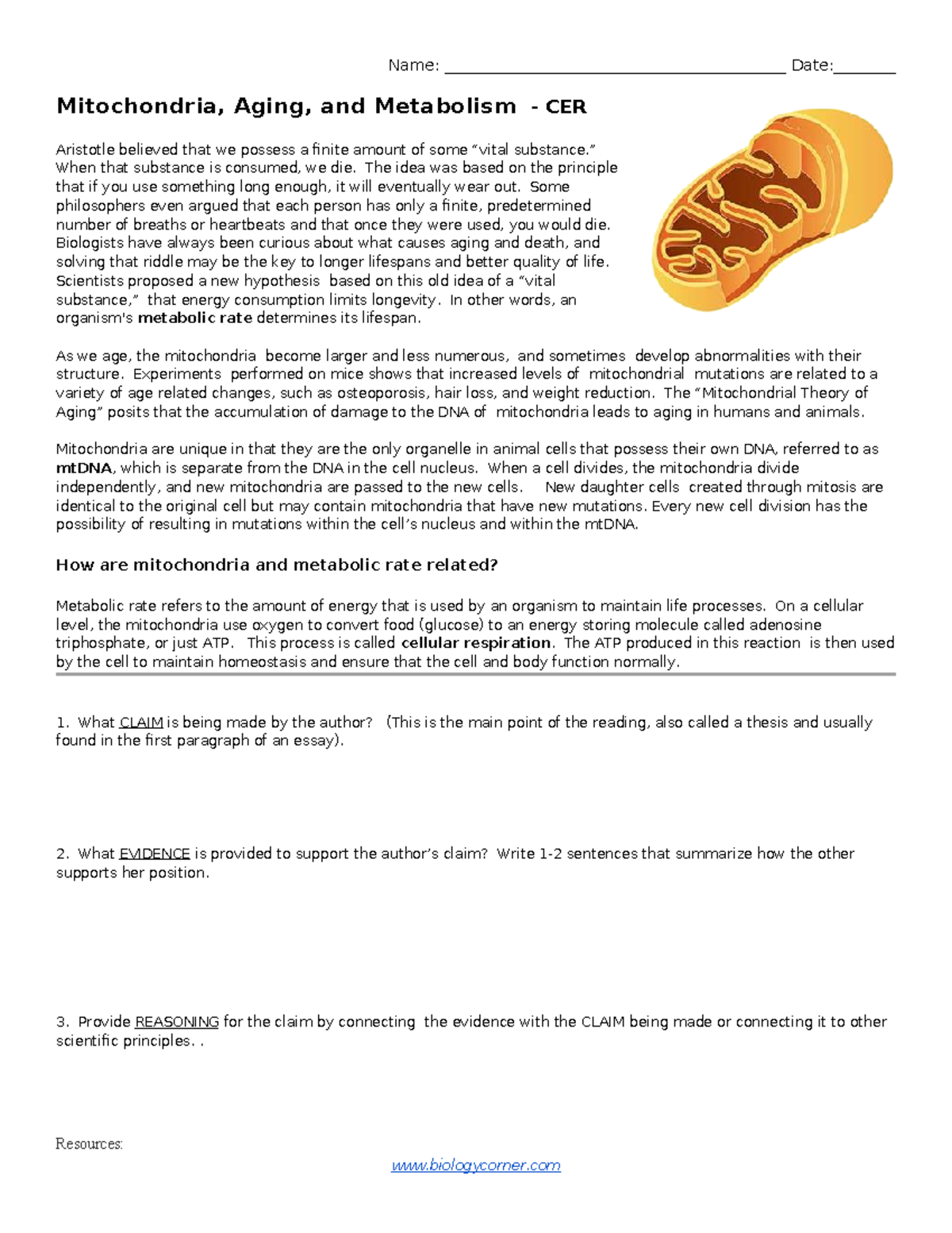 Mitochondria and Aging: A CER Analysis on Metabolism and Longevity ...