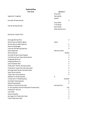 C216 Tactical Plan Filled - Plan Item Quarter 1 Quarter 2 Segments ...