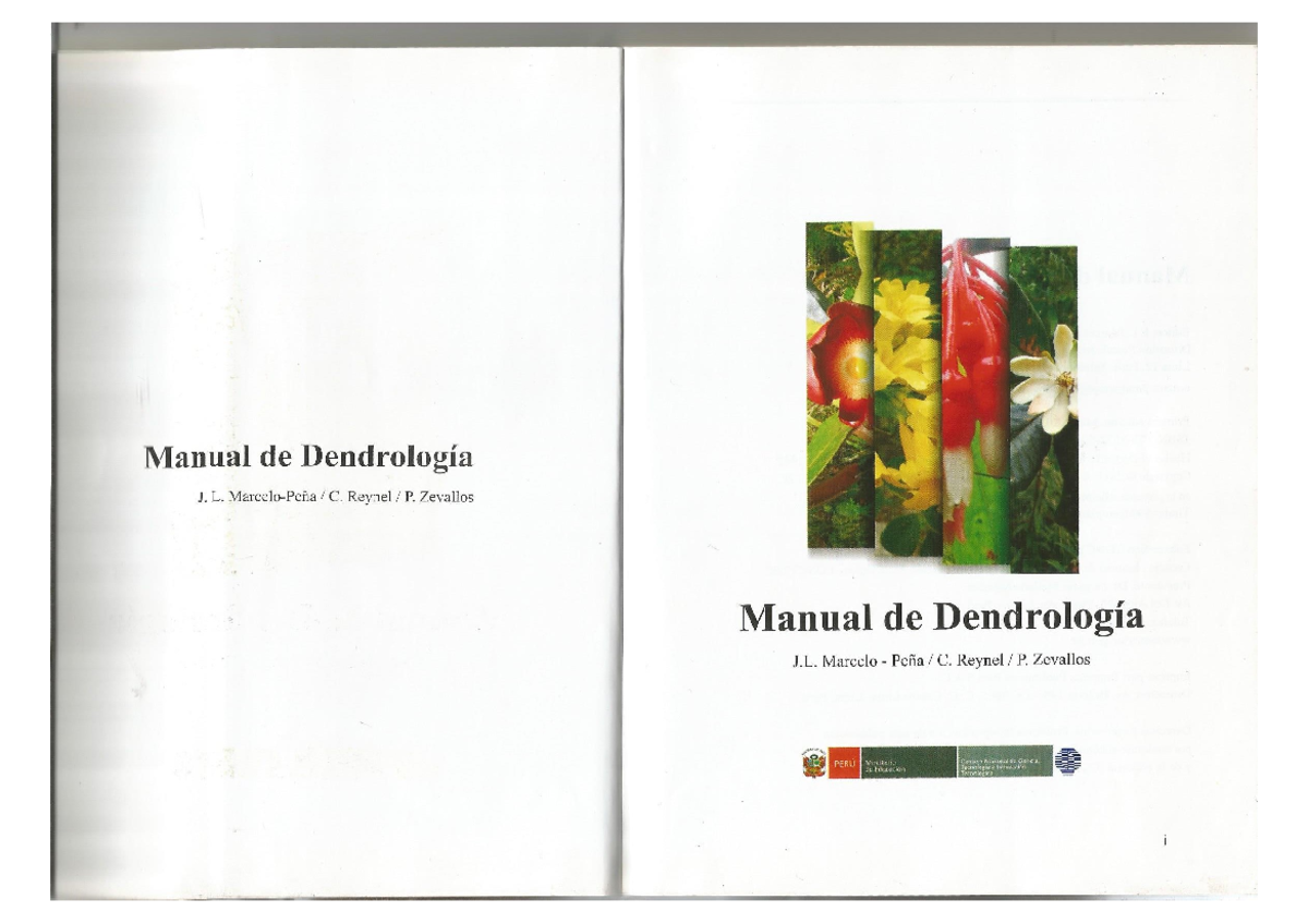 Manual de Dendrología: Estudio de Especies Arbóreas en Perú (2011 ...