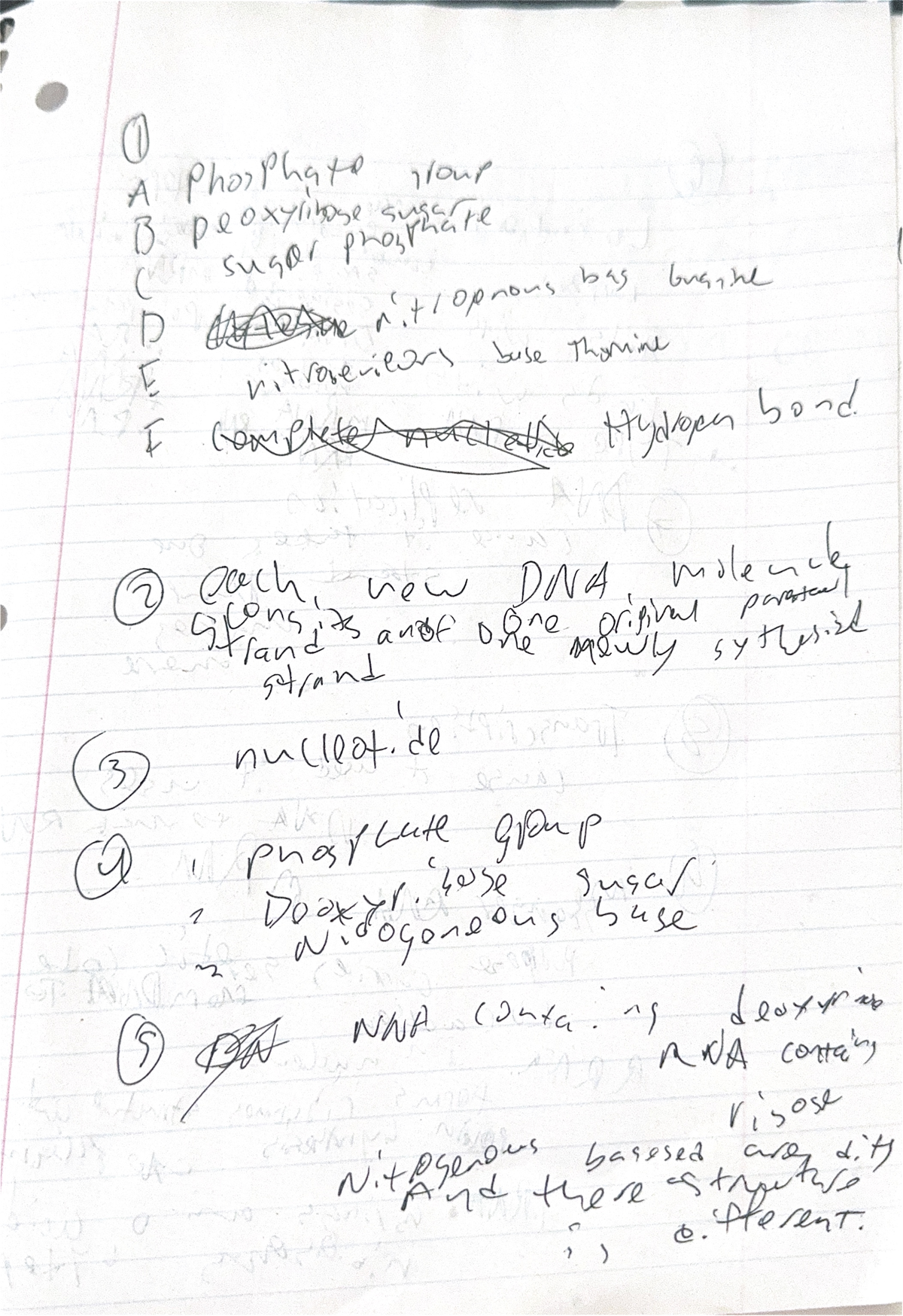 Unit3 - Notes - I A Phosphato , loup B proxying susar sugar D Merice ...