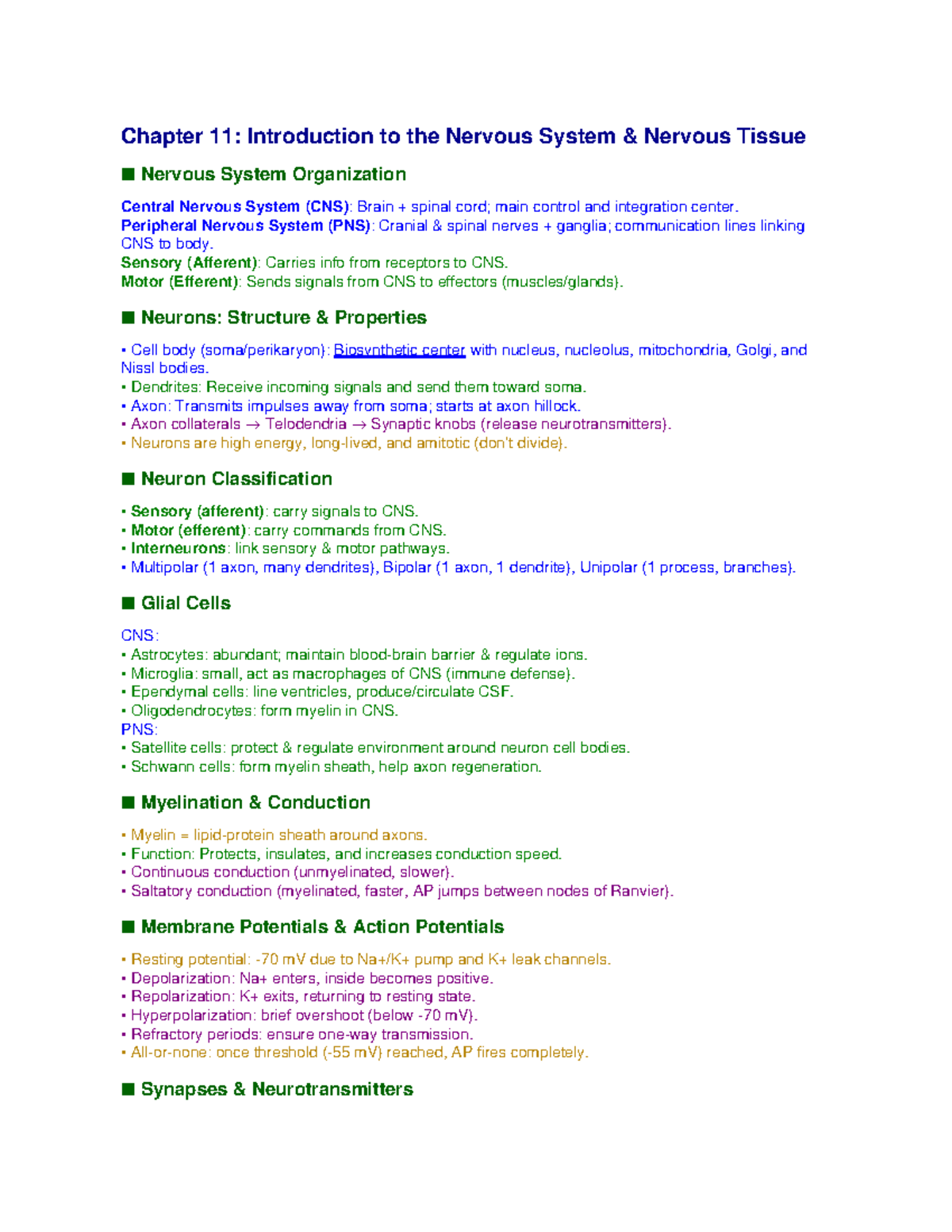 Nervous System Overview: Ch 11 & 13 Study Guide - Studocu
