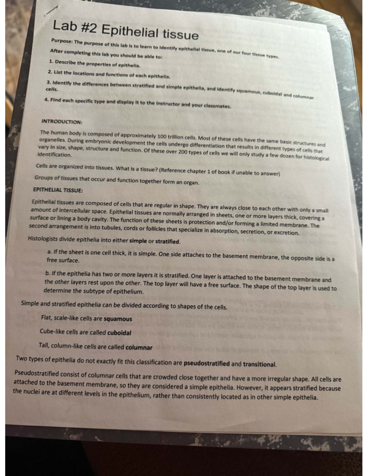 Final Exam Study Guide: Epithelial Tissue Identification - Studocu