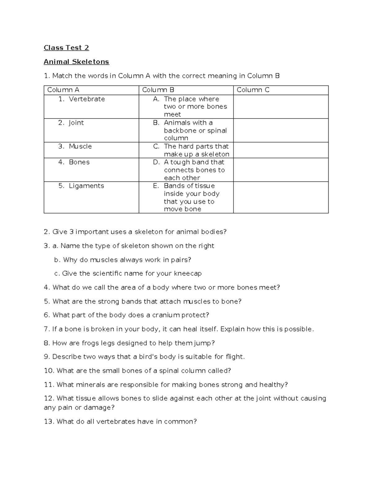 Class Test 2: Understanding Animal Skeletons and Functions - Studocu