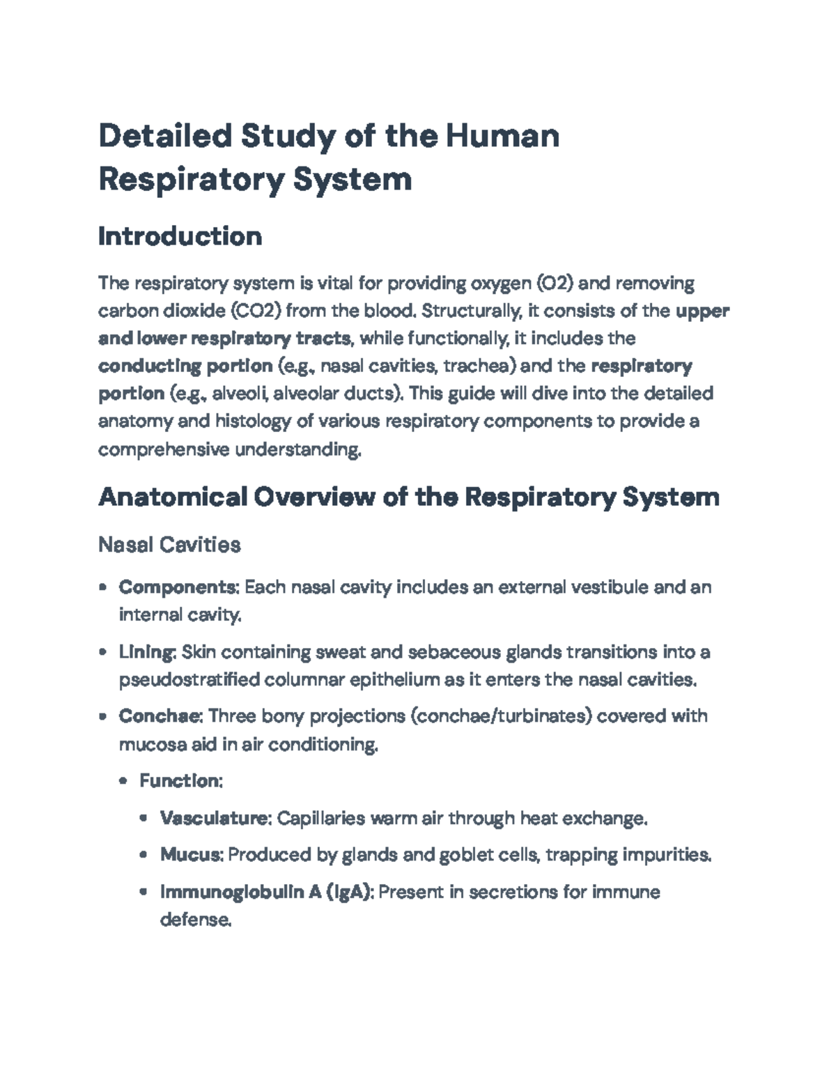Detailed Analysis of the Human Respiratory System and Its Anatomy ...