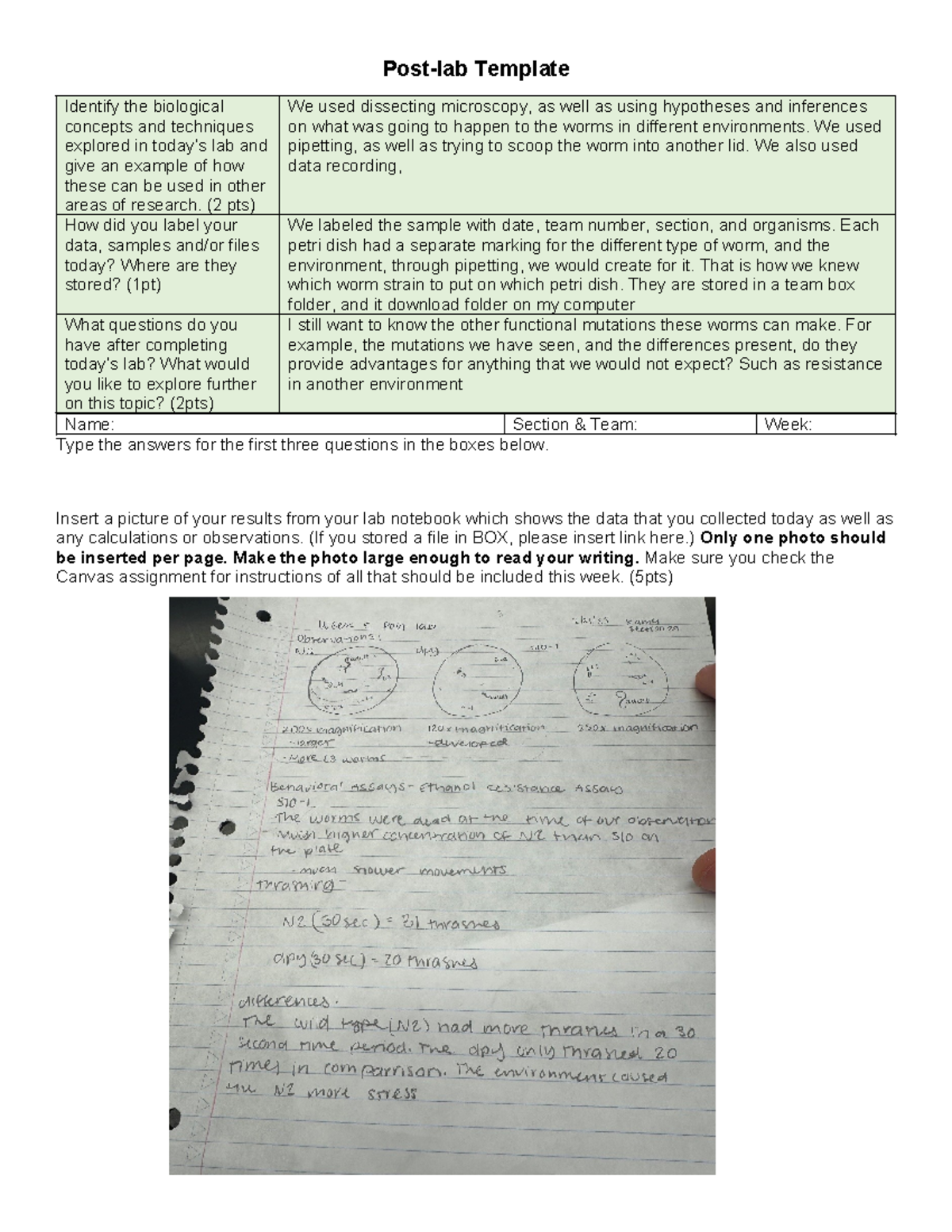 C. elegans Post-lab - Post-lab Template Identify the biological ...