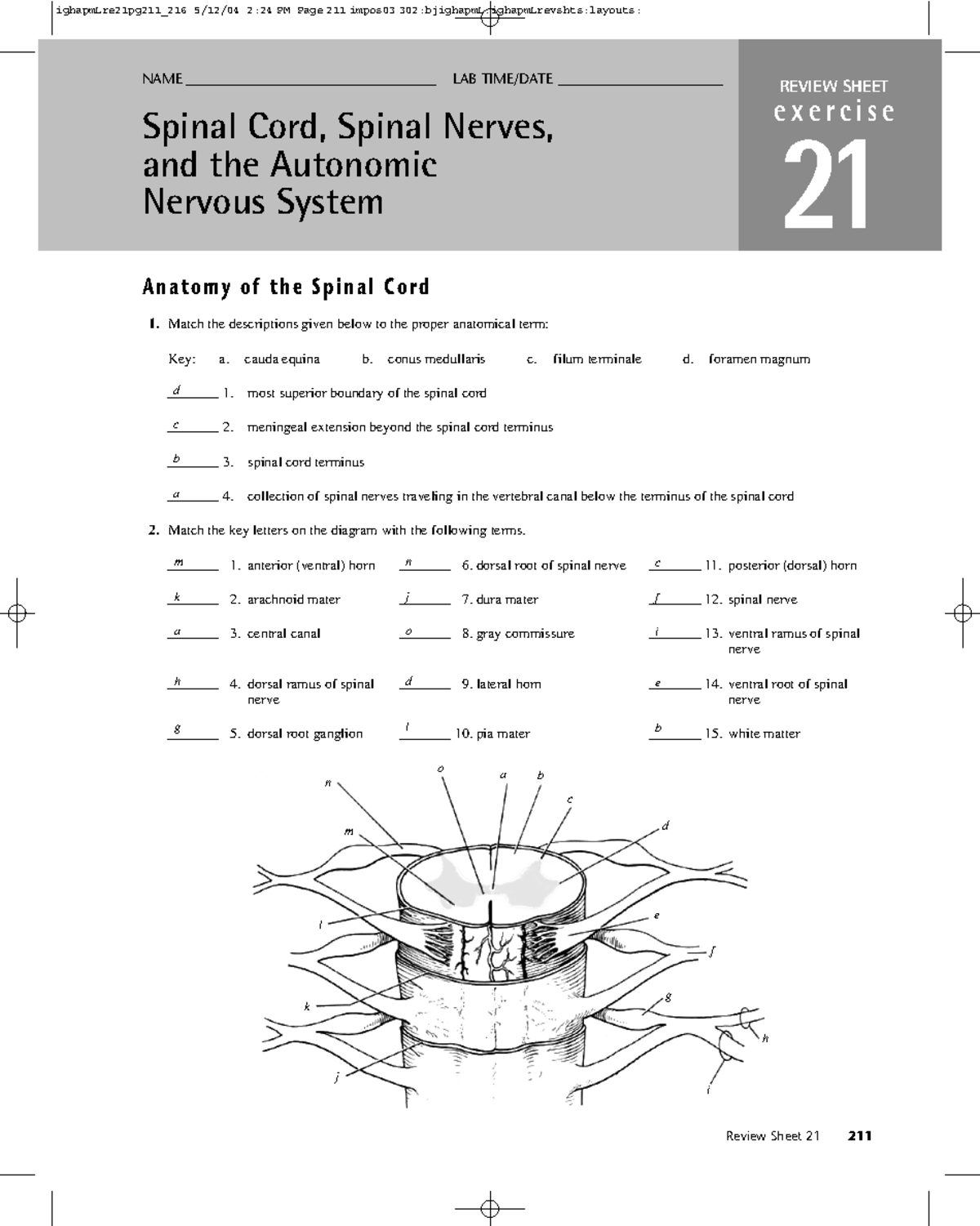 Spinal Cord and Autonomic Nervous System Review Sheet (LAB 21) - Studocu
