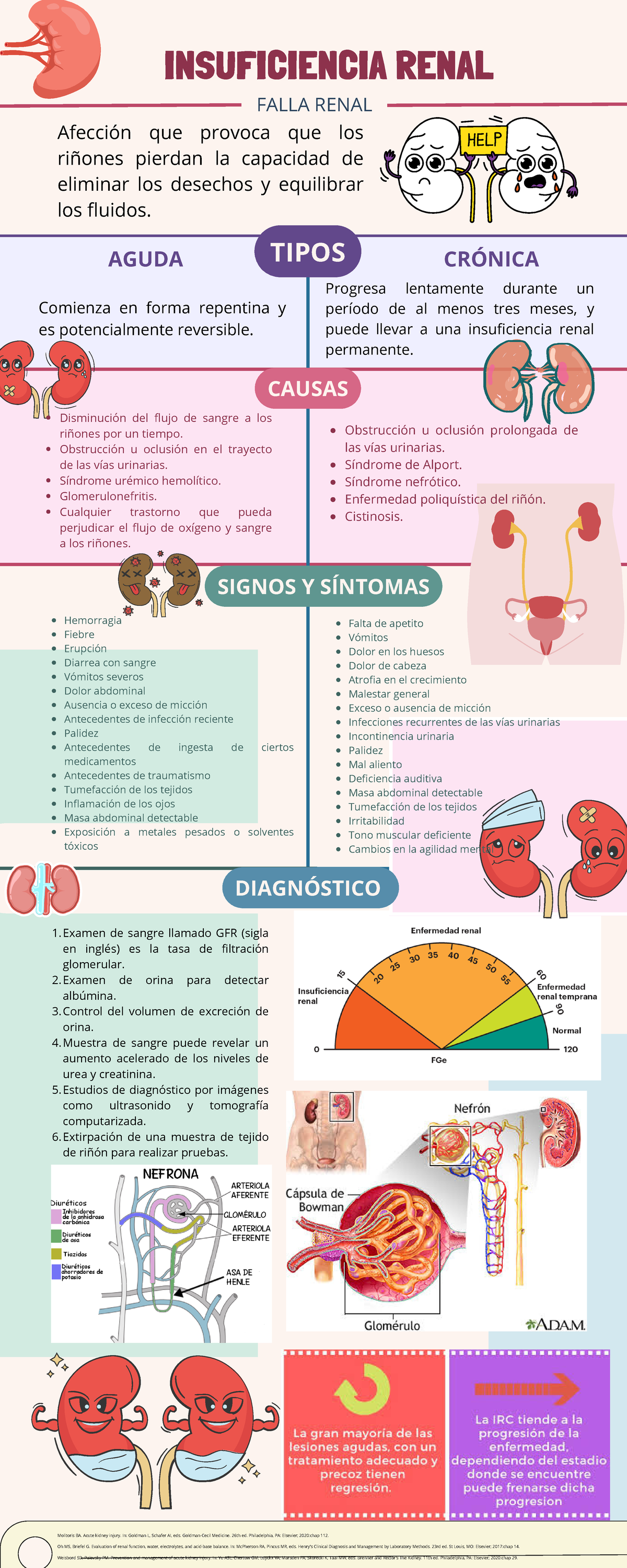 Insuficiencia Renal, Infografía - FALLA RENAL AGUDA TIPOS CRÓNICA CAUSAS Disminución del flujo ...
