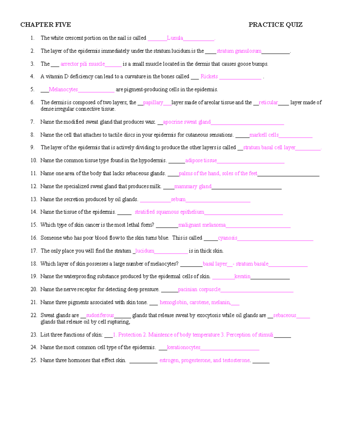 Practice Quiz: Chapter 5 - Integumentary System Overview - Studocu