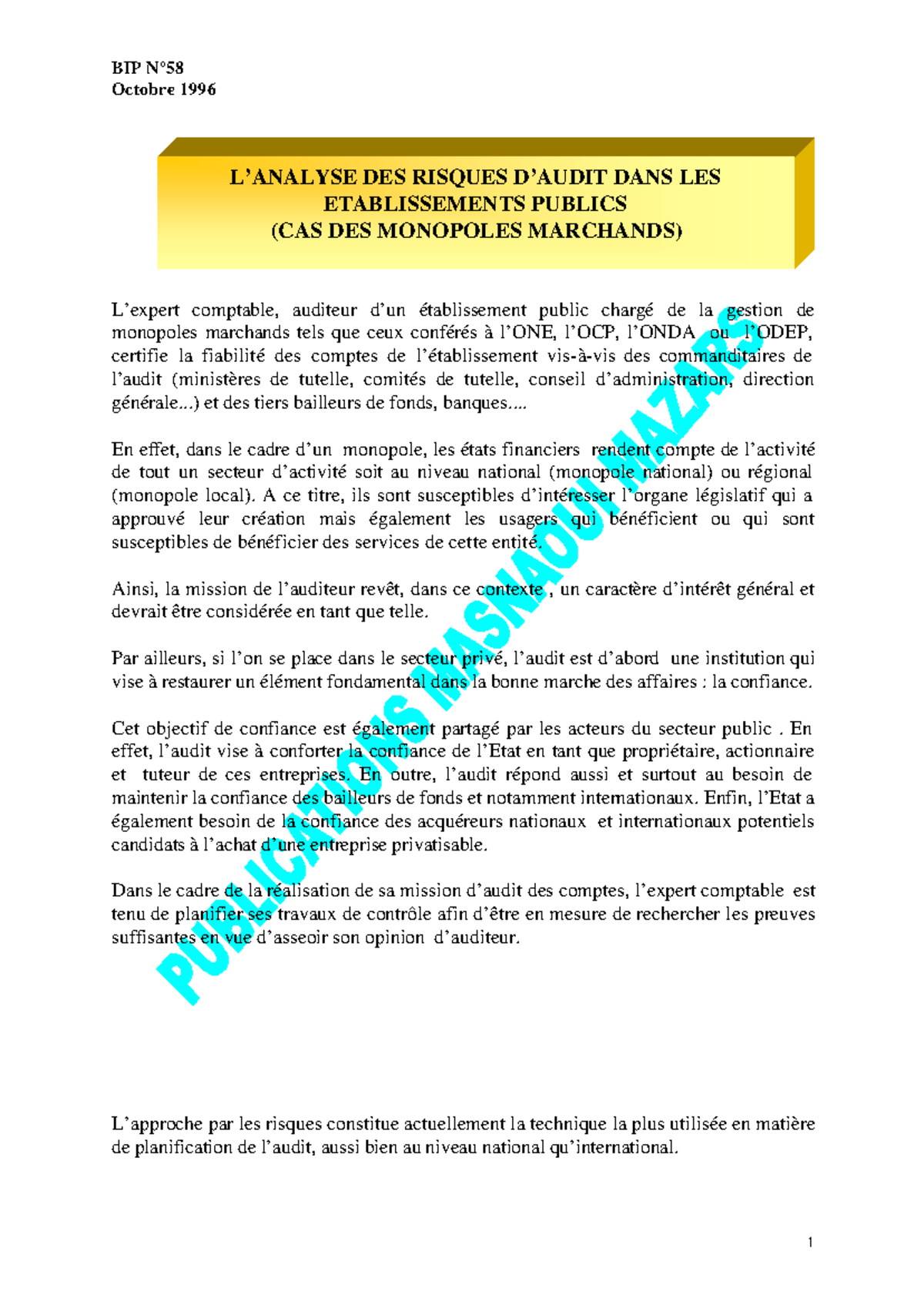 Analyse des Risques d'Audit dans les Établissements Publics - BIP ...