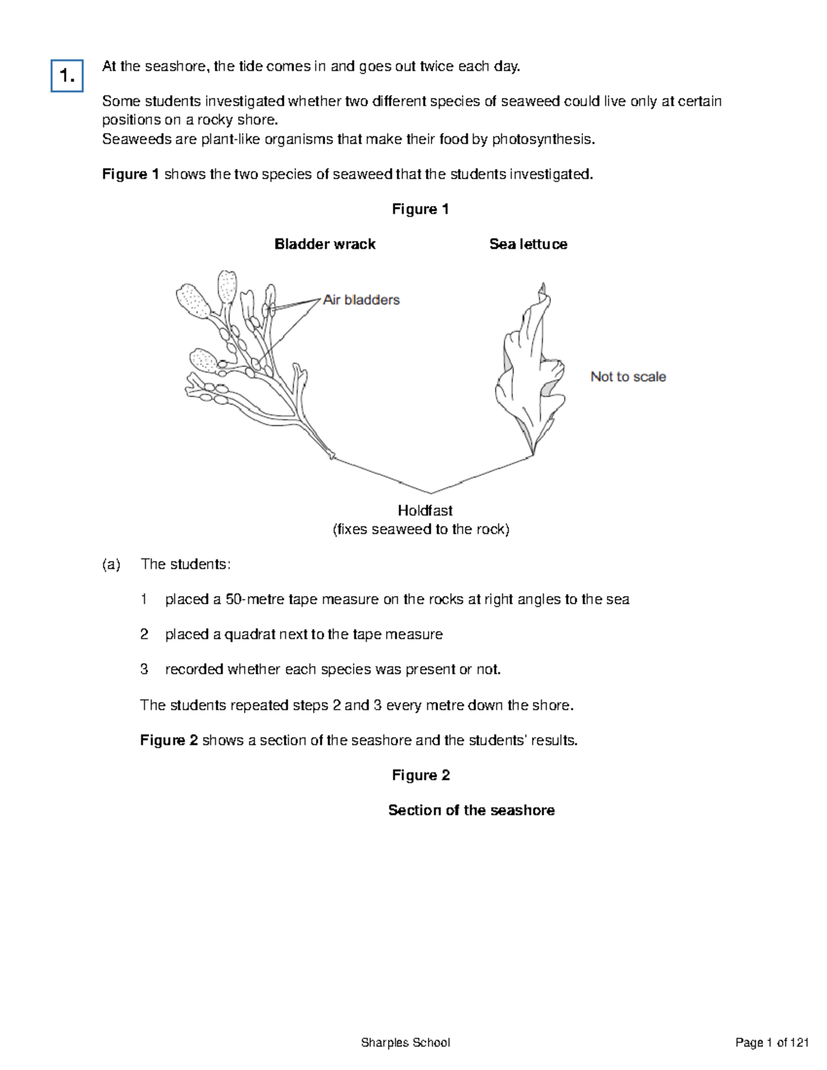 Bio 101 Final Exam Questions on Marine Life and Plant Biology - Studocu
