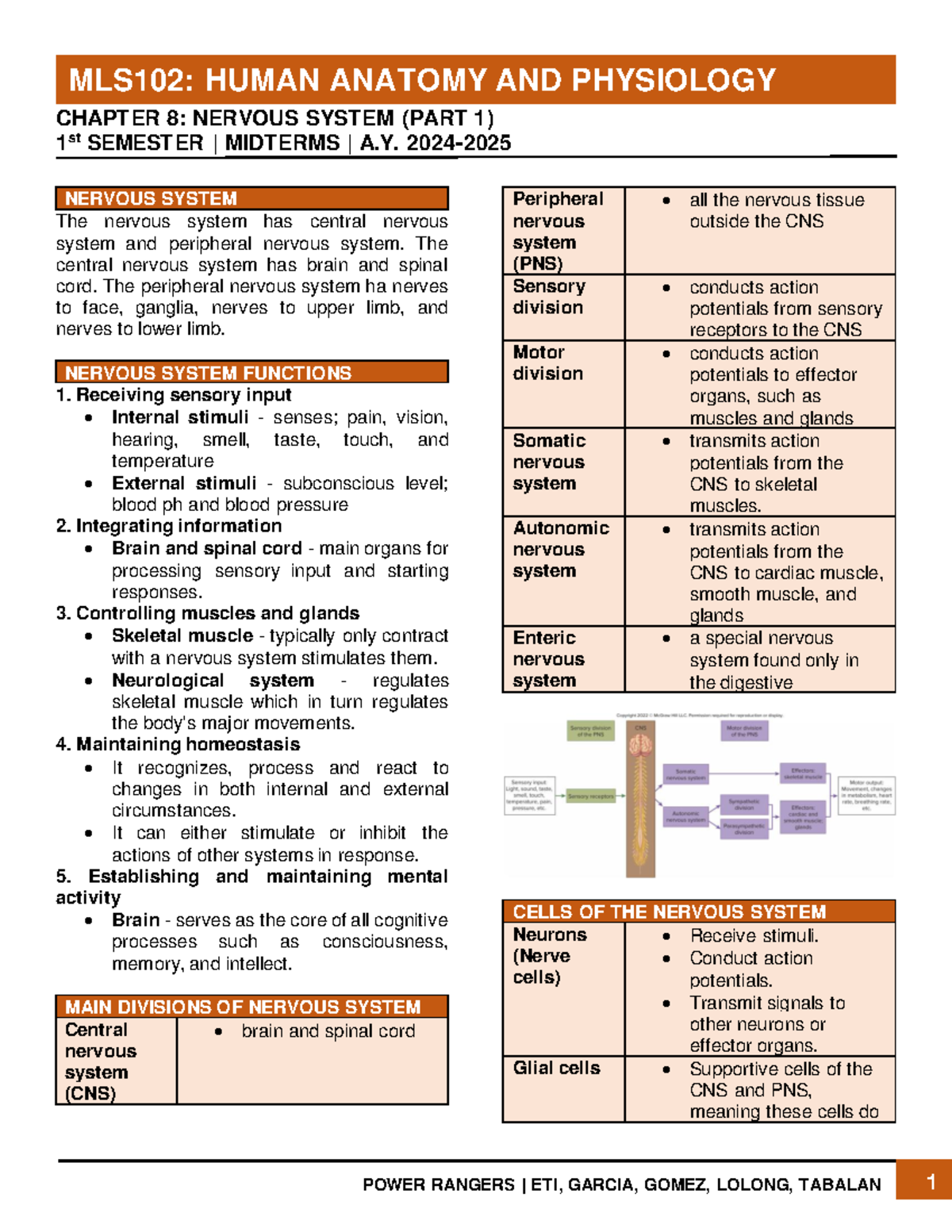 Chapter 8 - Nervous System Overview: Midterm Study Notes (A. 2024-2025 ...
