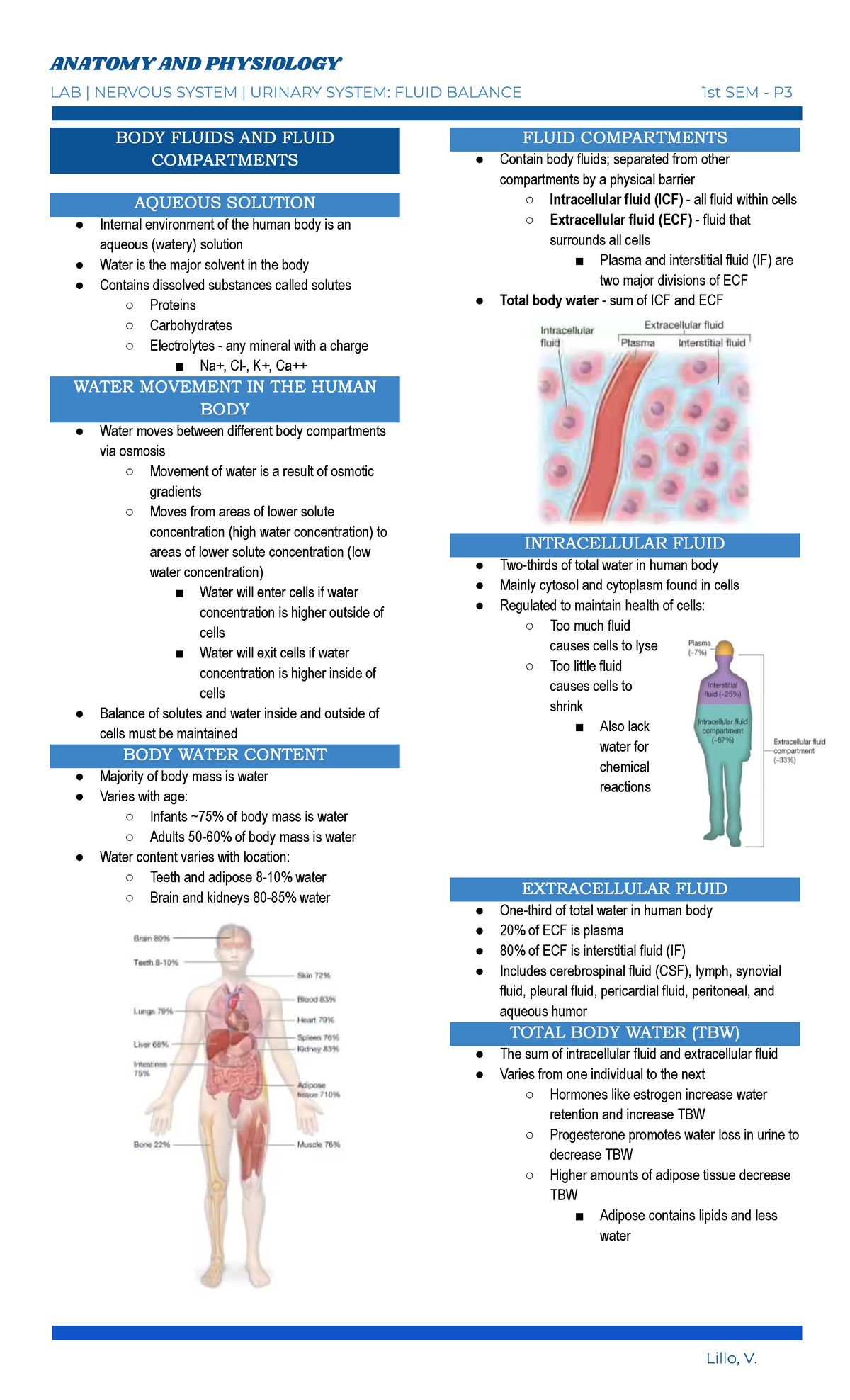 ANATOMY AND PHYSIOLOGY LAB HES006: FLUID BALANCE IN NERVOUS & URINARY ...