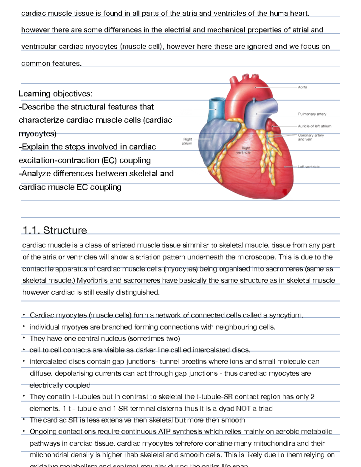 Cardiac Muscle Physiology: Structure, Coupling, and Relaxation (BIO 101 ...