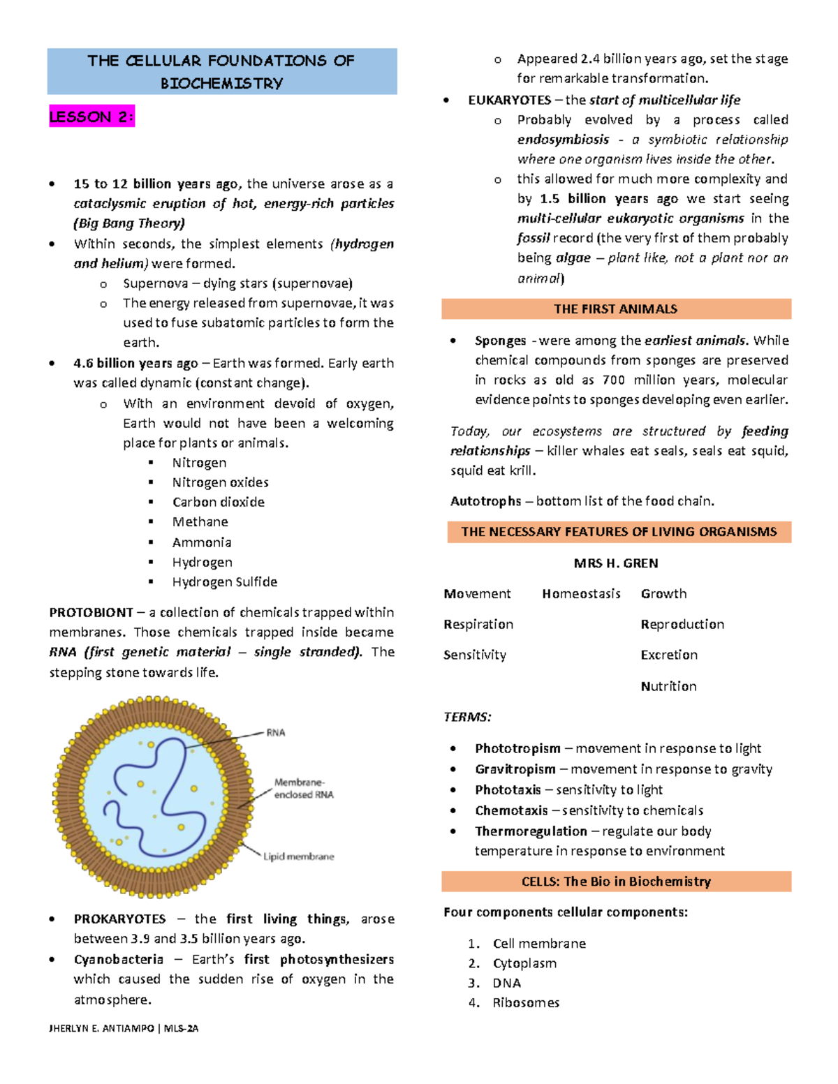 Lesson 2-THE Cellular Foundations OF Biochemistry - THE CELLULAR ...