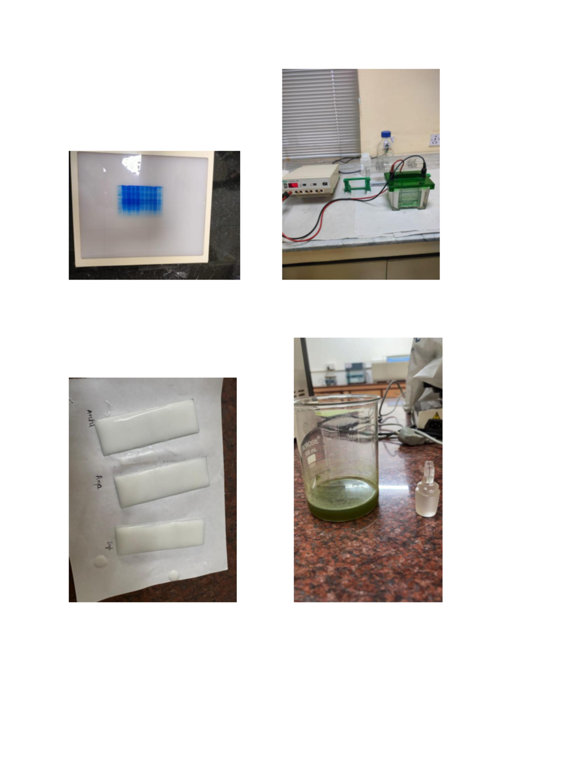 Downstream Processing - B.Tech Biotechnology - B Archi NISCO BOROSIL ...