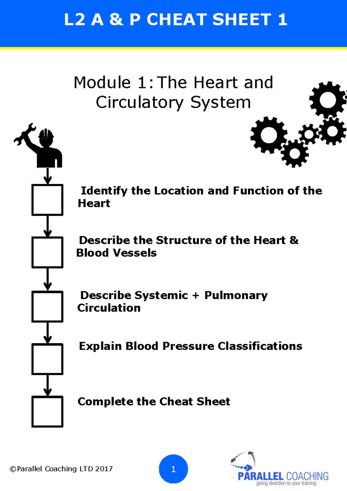 L2 A P CHEAT SHEET 1: The Heart & Circulatory System Overview - Studocu