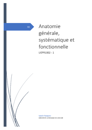 Tableau des muscles - synthèse - BIME-I-101 : les muscles Membre inf 1 ...